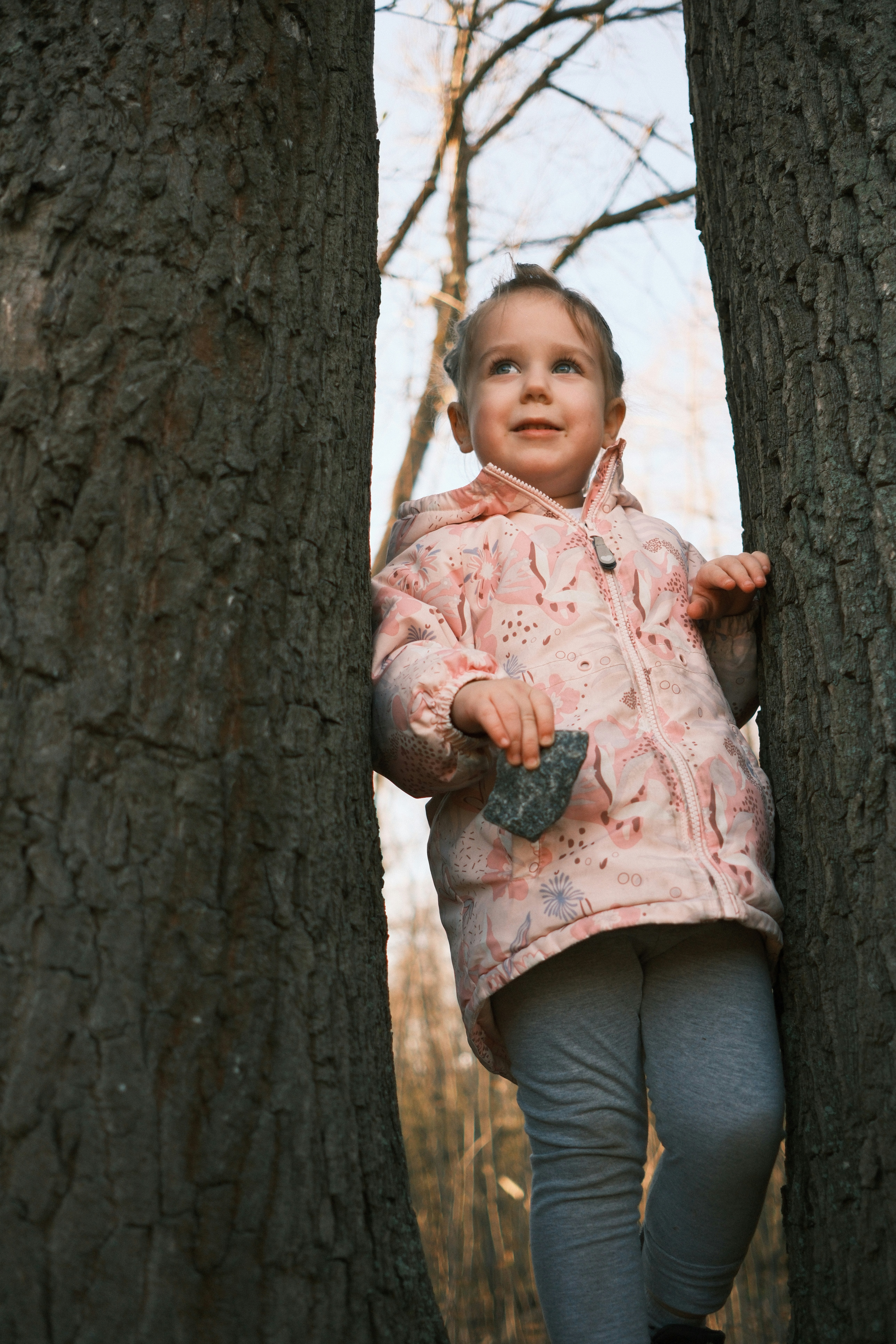 A little girl standing between two trees in a forest photo – Free ...