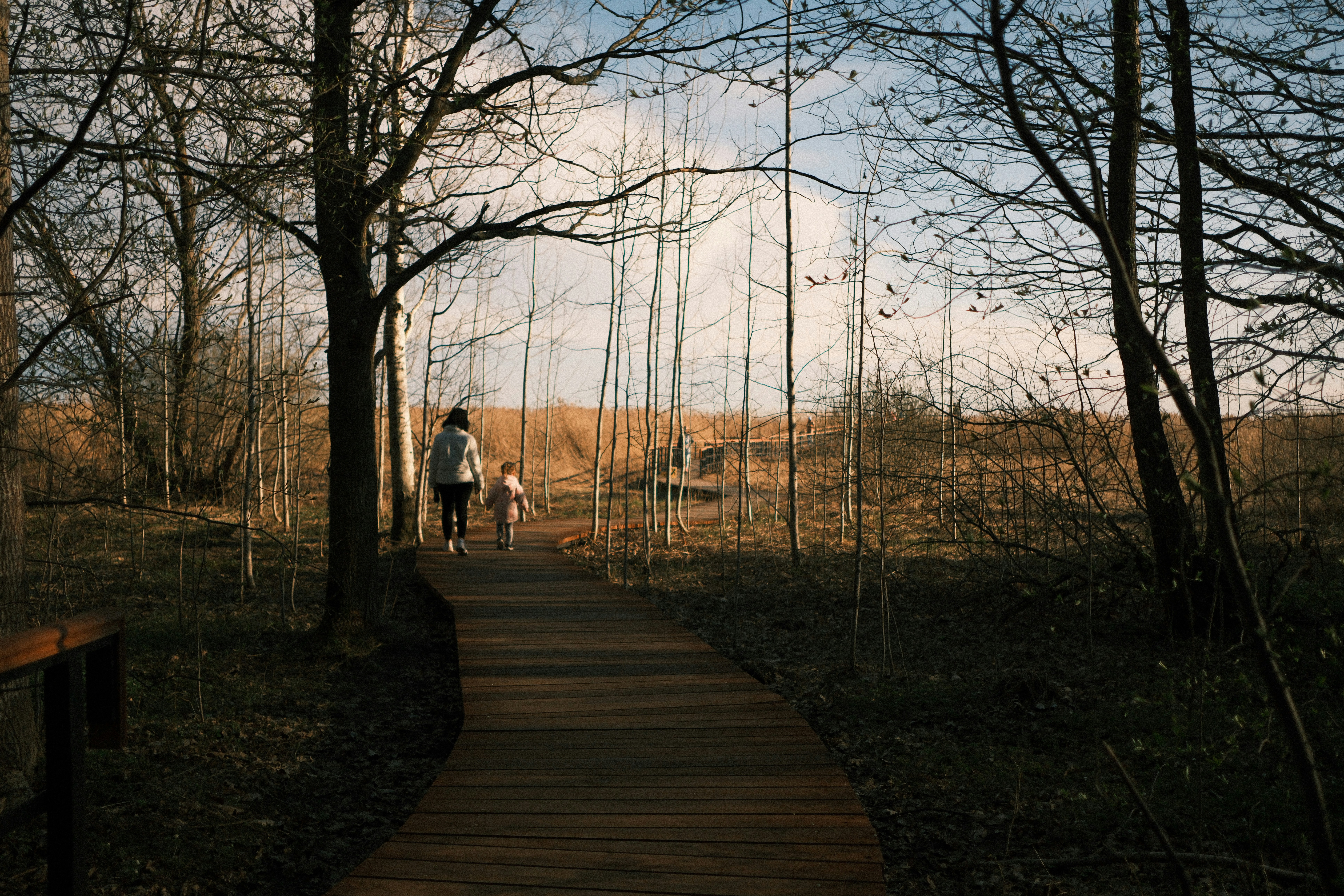 A person walking down a path in the woods photo – Free Path Image on ...