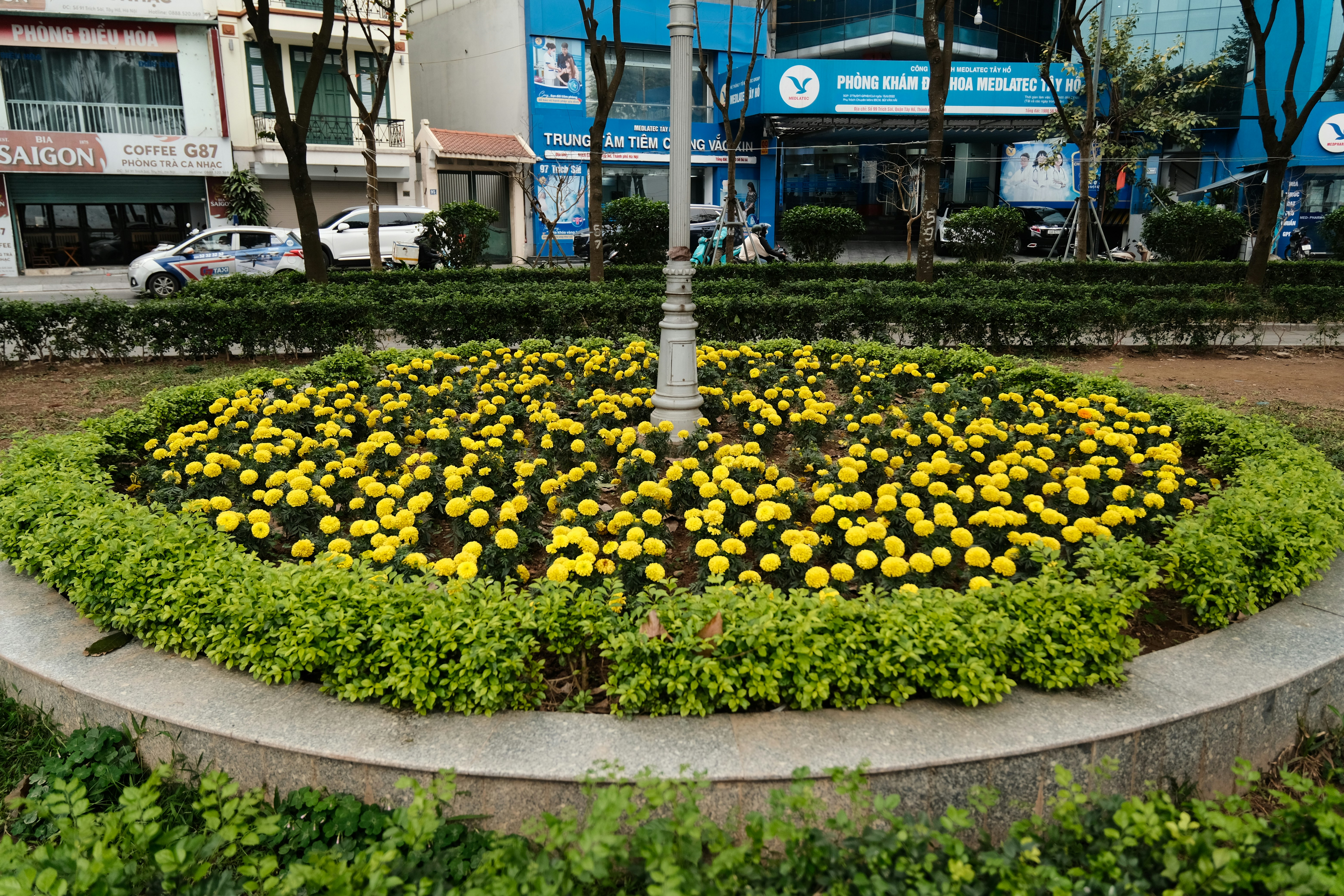 Photo by Duc Van with Fujifilm X-T30 II