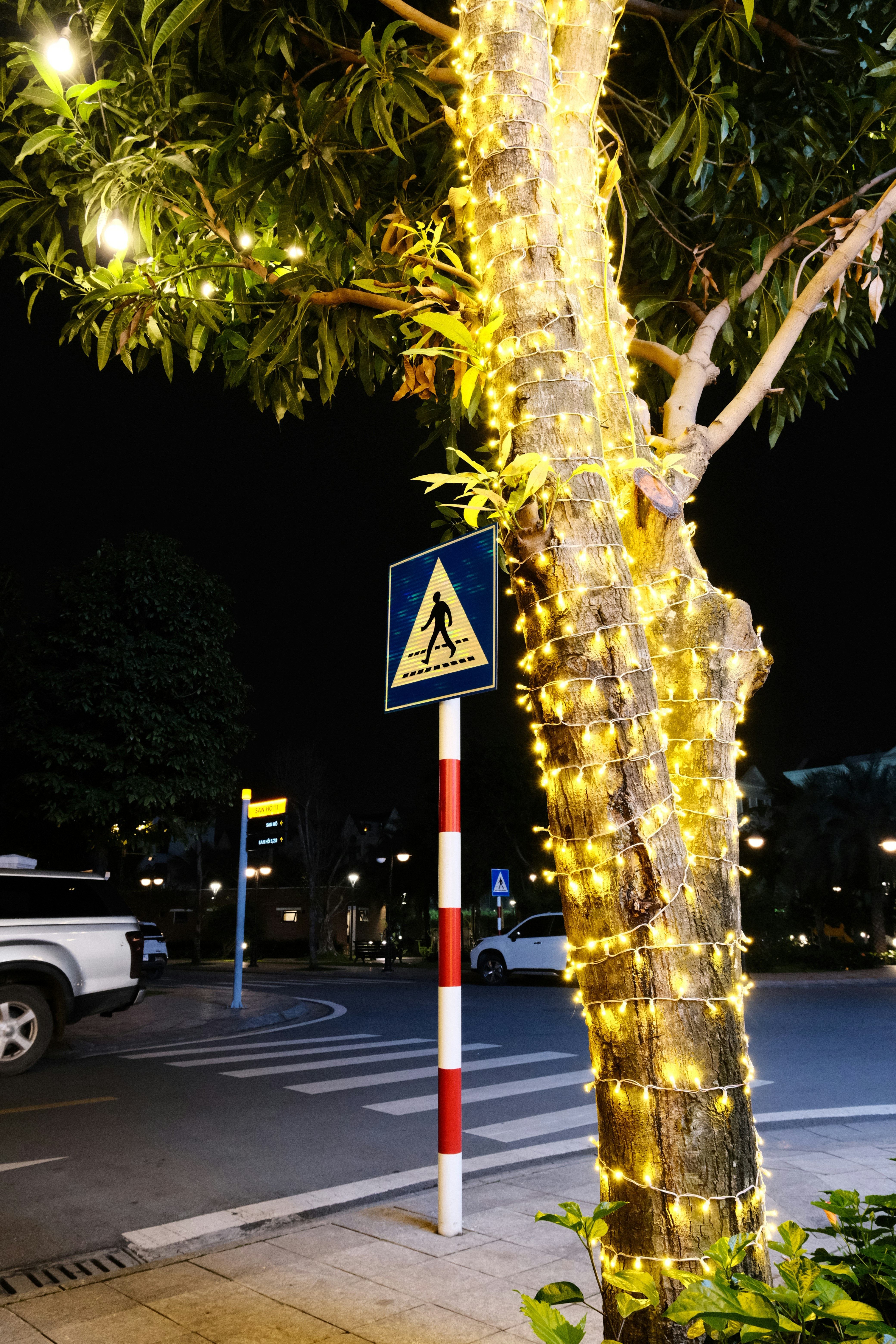 Photo by Duc Van with Fujifilm X-T30 II