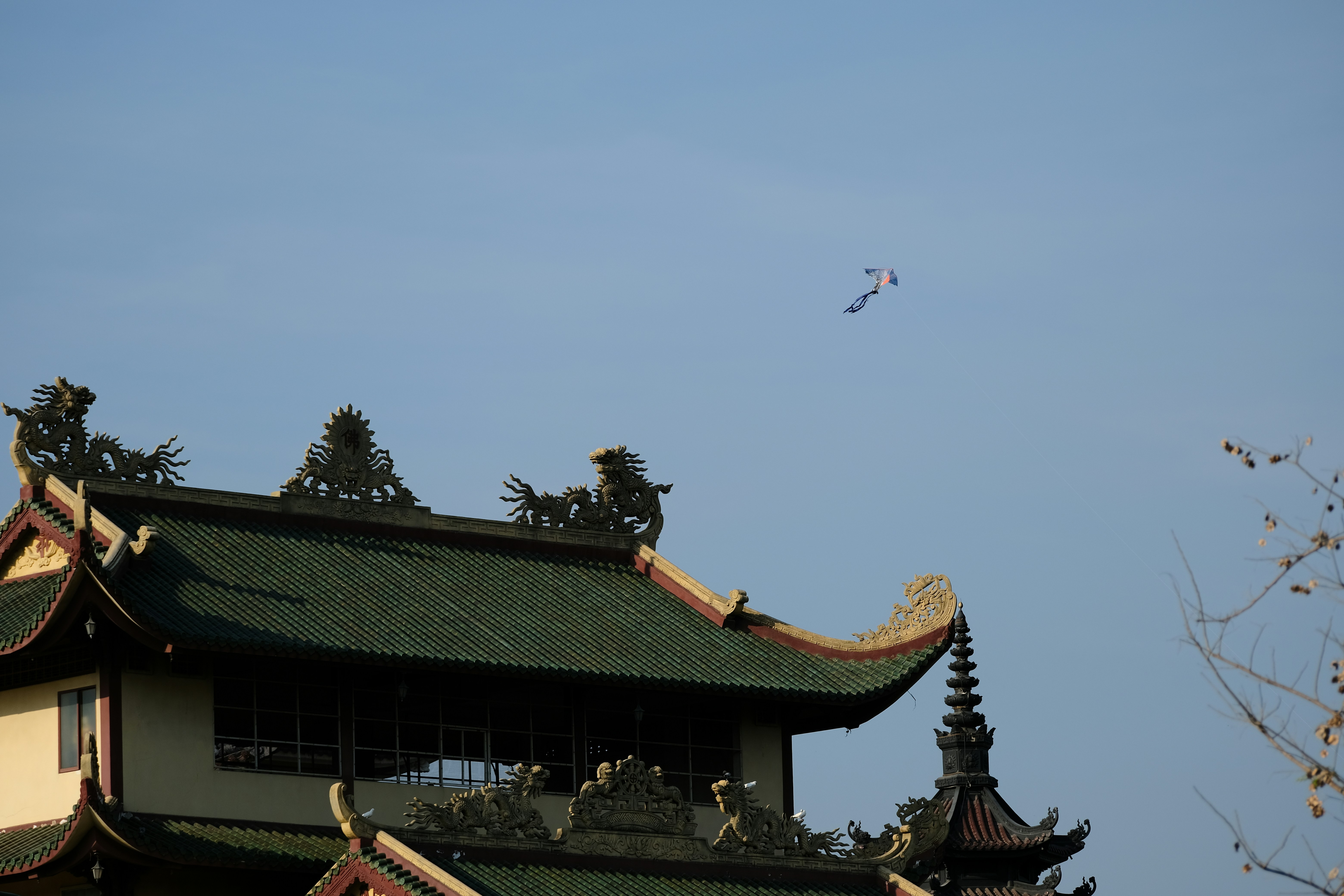 Un pájaro volando sobre un edificio con un techo verde foto – Imagen de ...