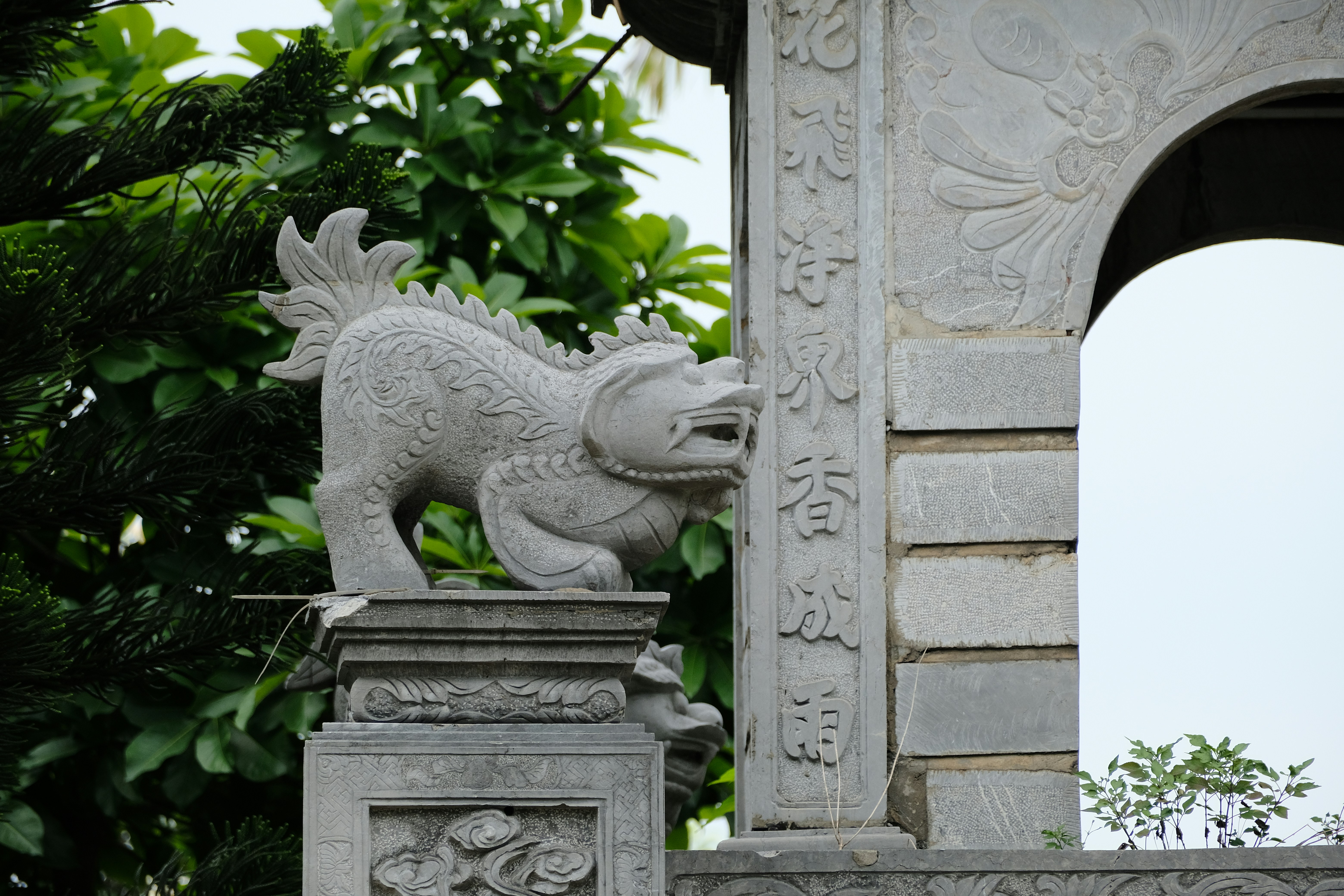 Photo by Duc Van with Fujifilm X-T30 II