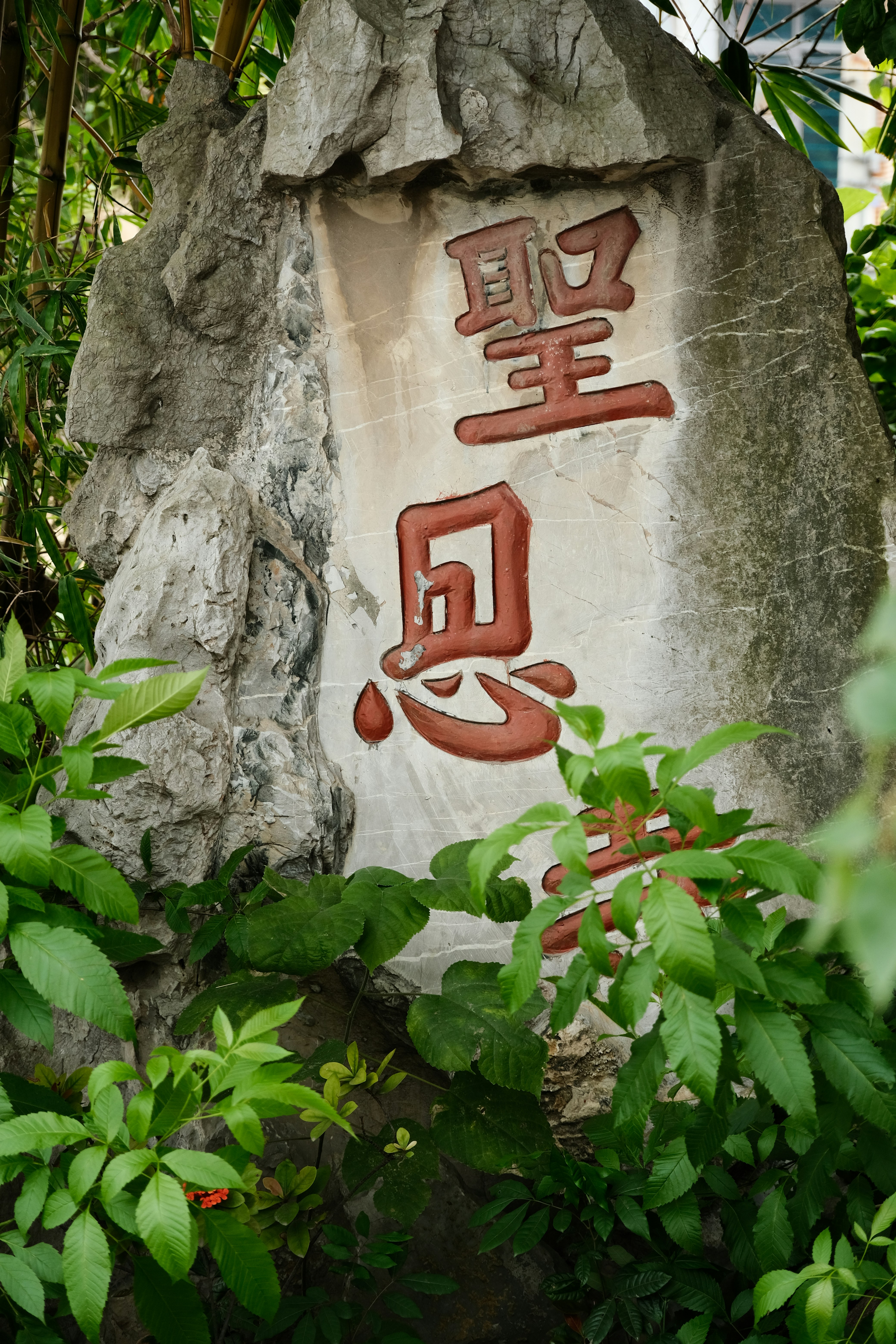 Photo by Duc Van with Fujifilm X-T30 II