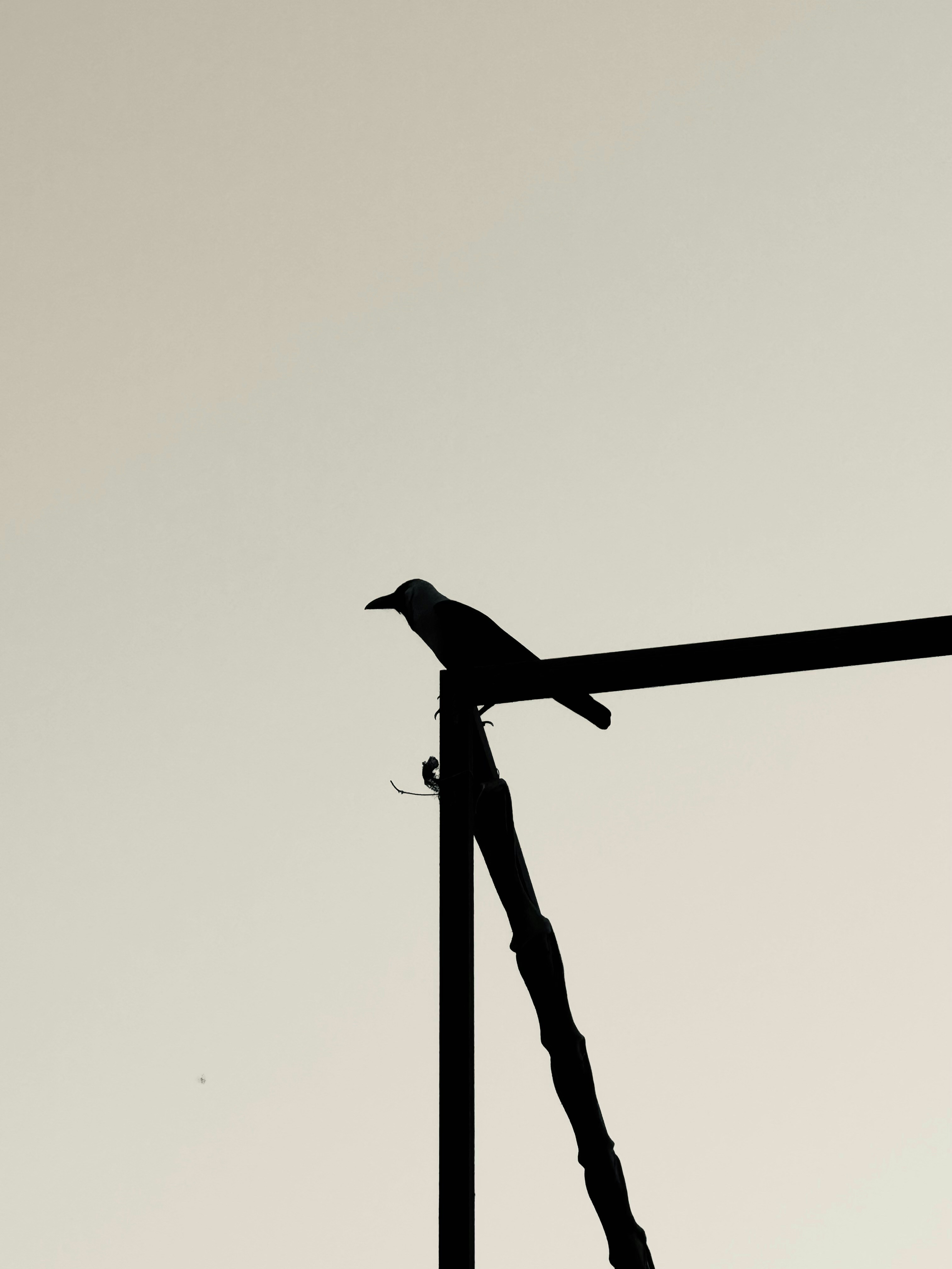 Crow Silhouette Perched on a Minimal Metal Frame Against a Pale Sky