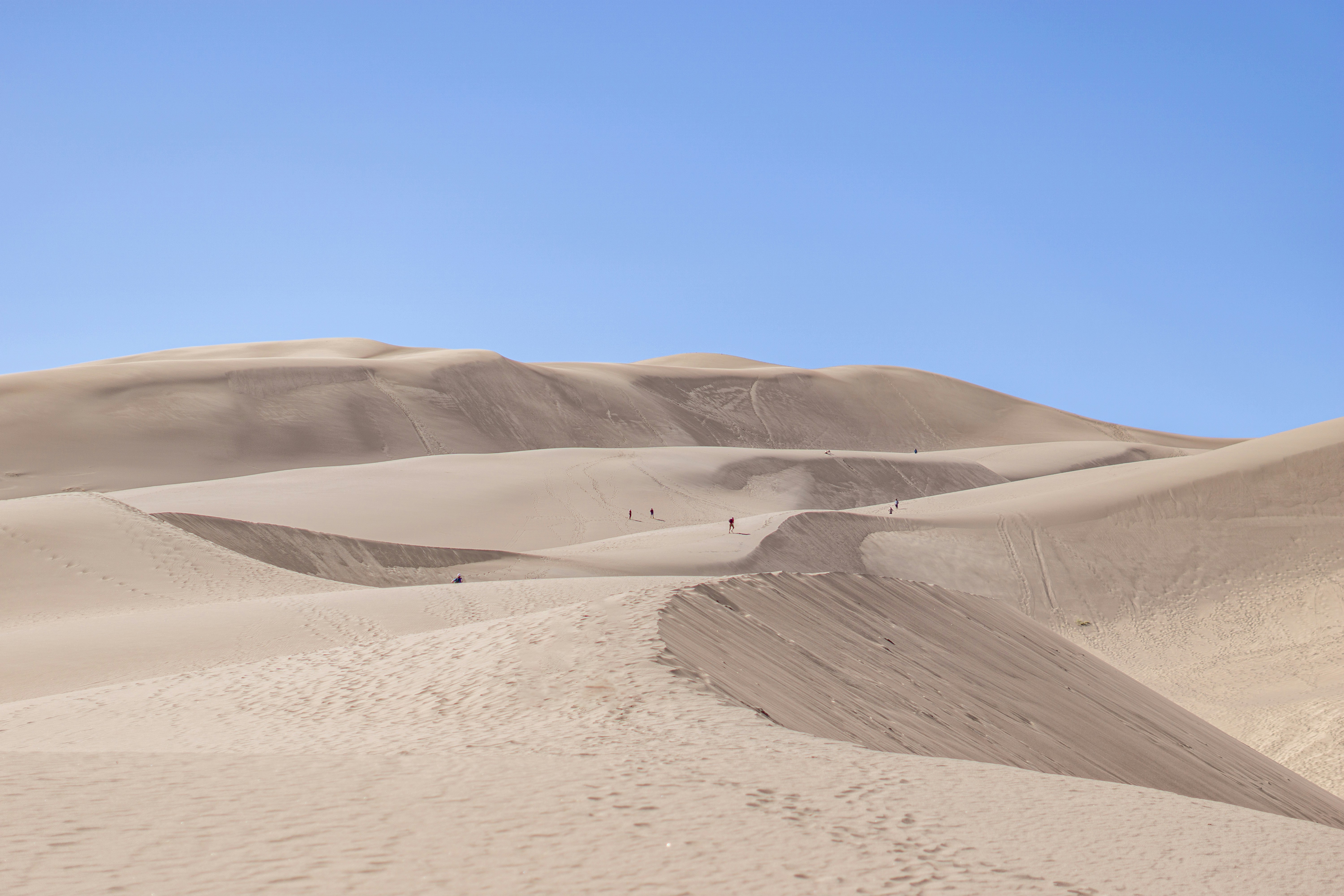 A group of people walking across a sandy field photo – Free Colorado ...