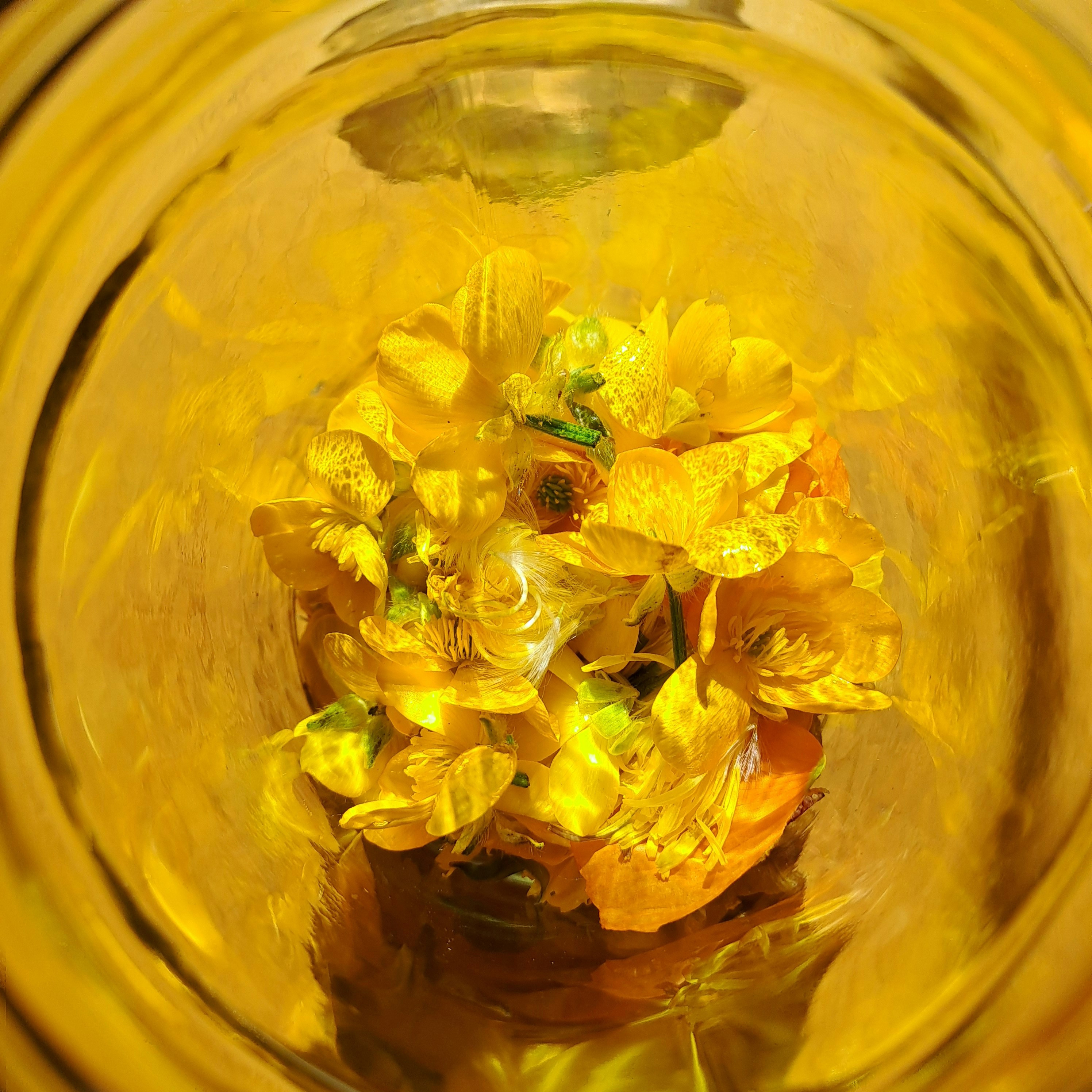 Photo by Kristen with Samsung Galaxy A33