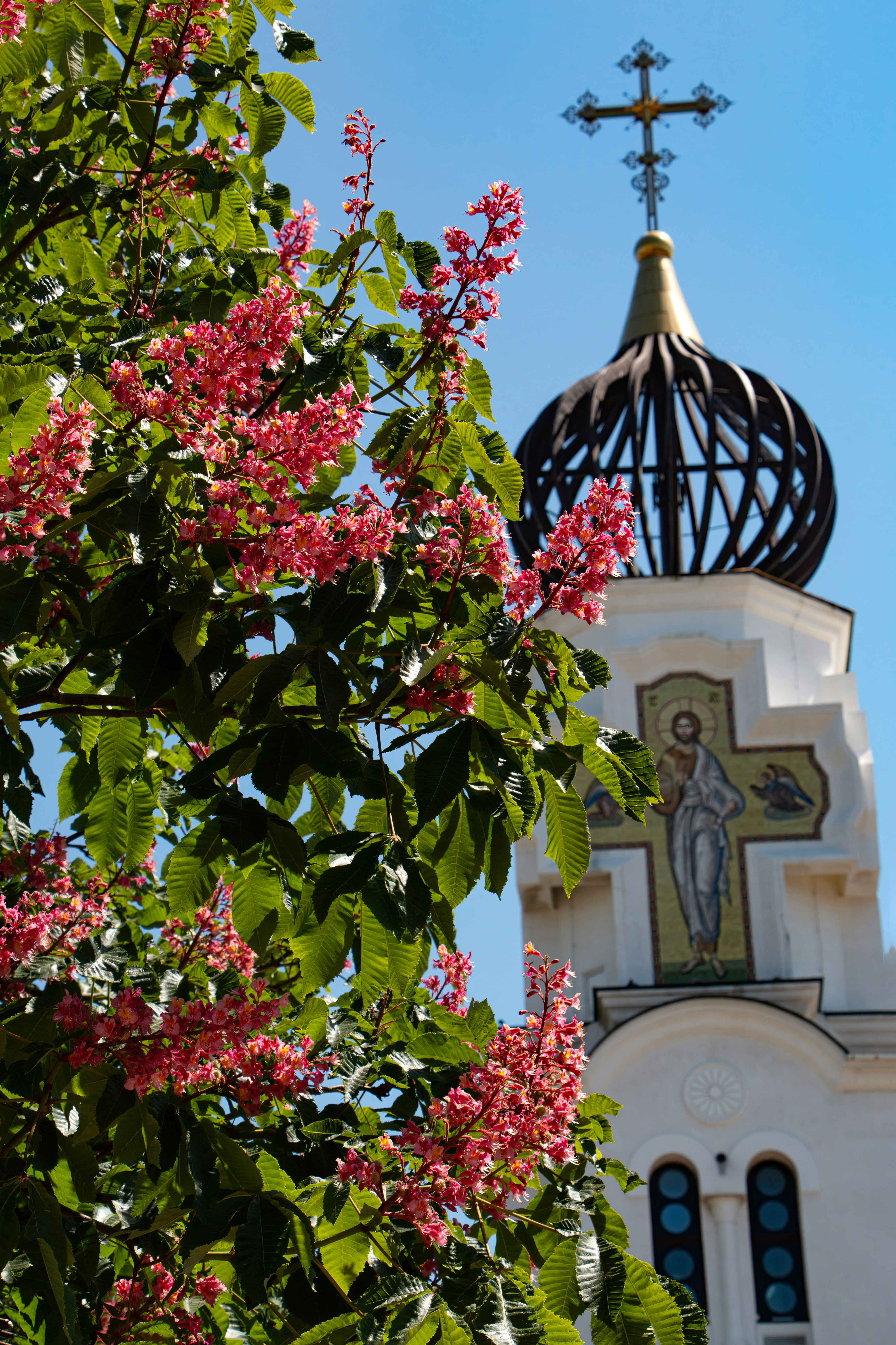 Cross and Onion Dome Framed by Pink Blossoms Under a Brilliant Blue Sky