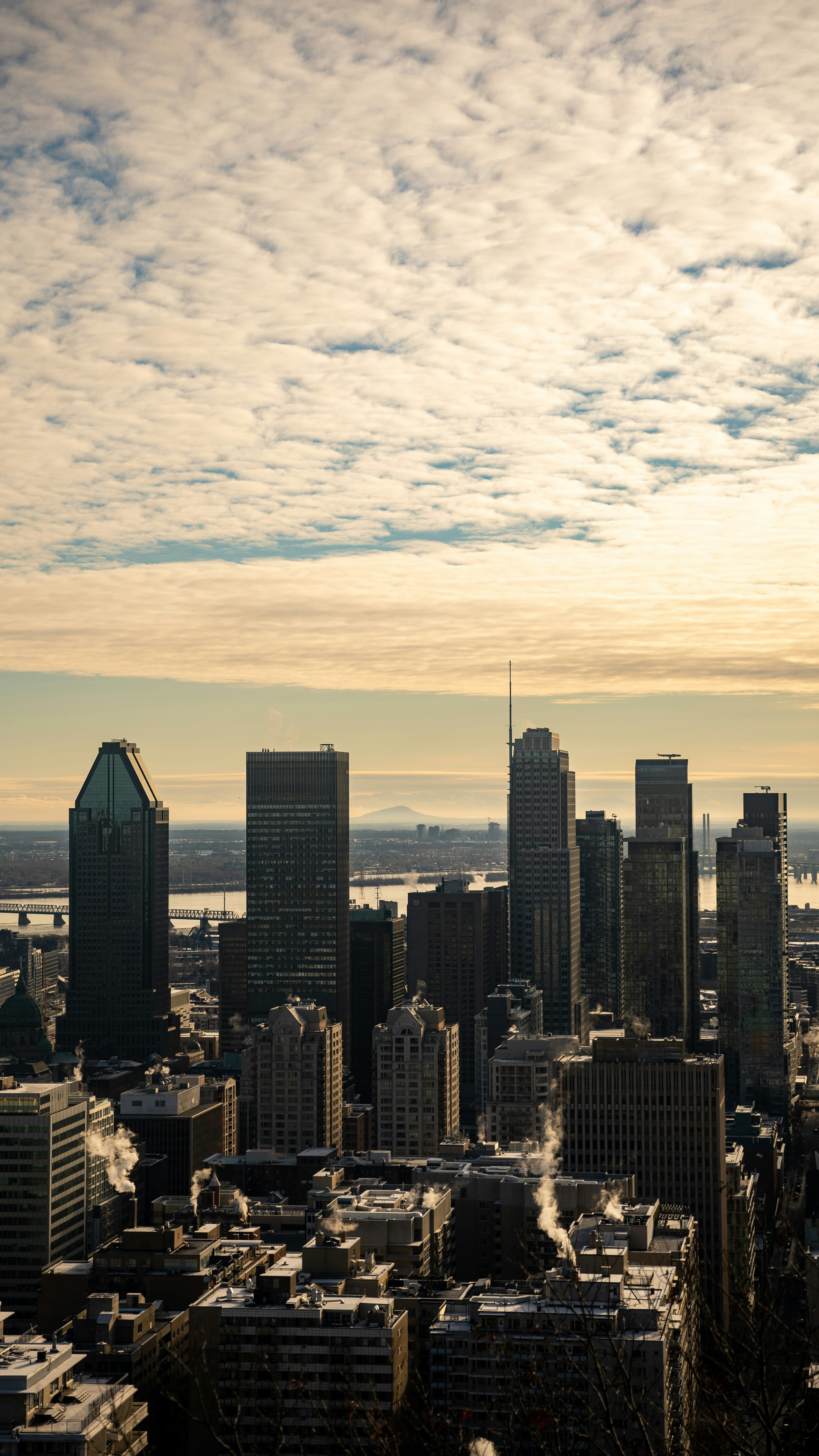 A beautiful photo of the Montreal skyline in portrait mode. | a view of a city with tall buildings