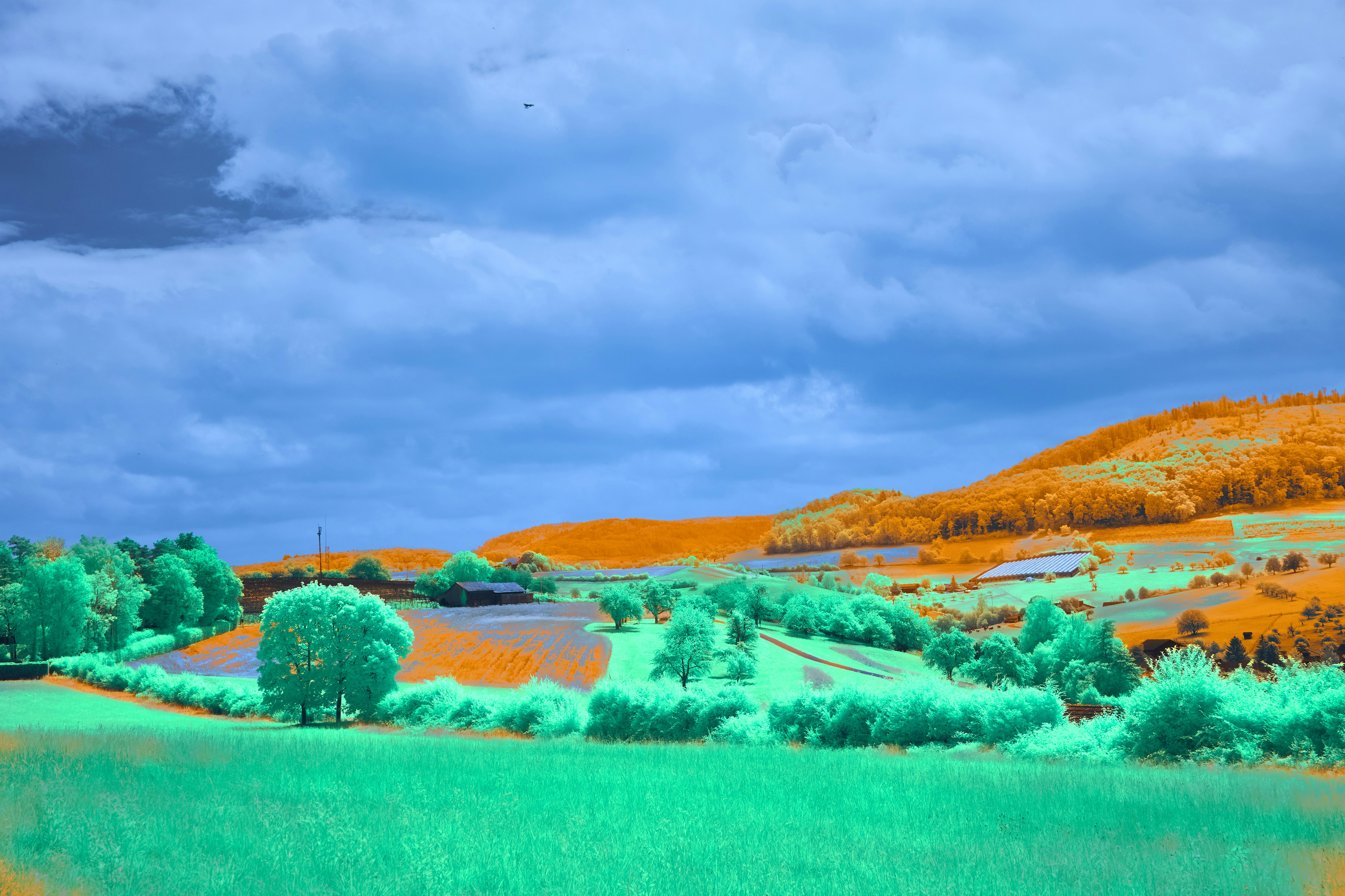 Landscape Animation Pictures | Download Free Images on Unsplash