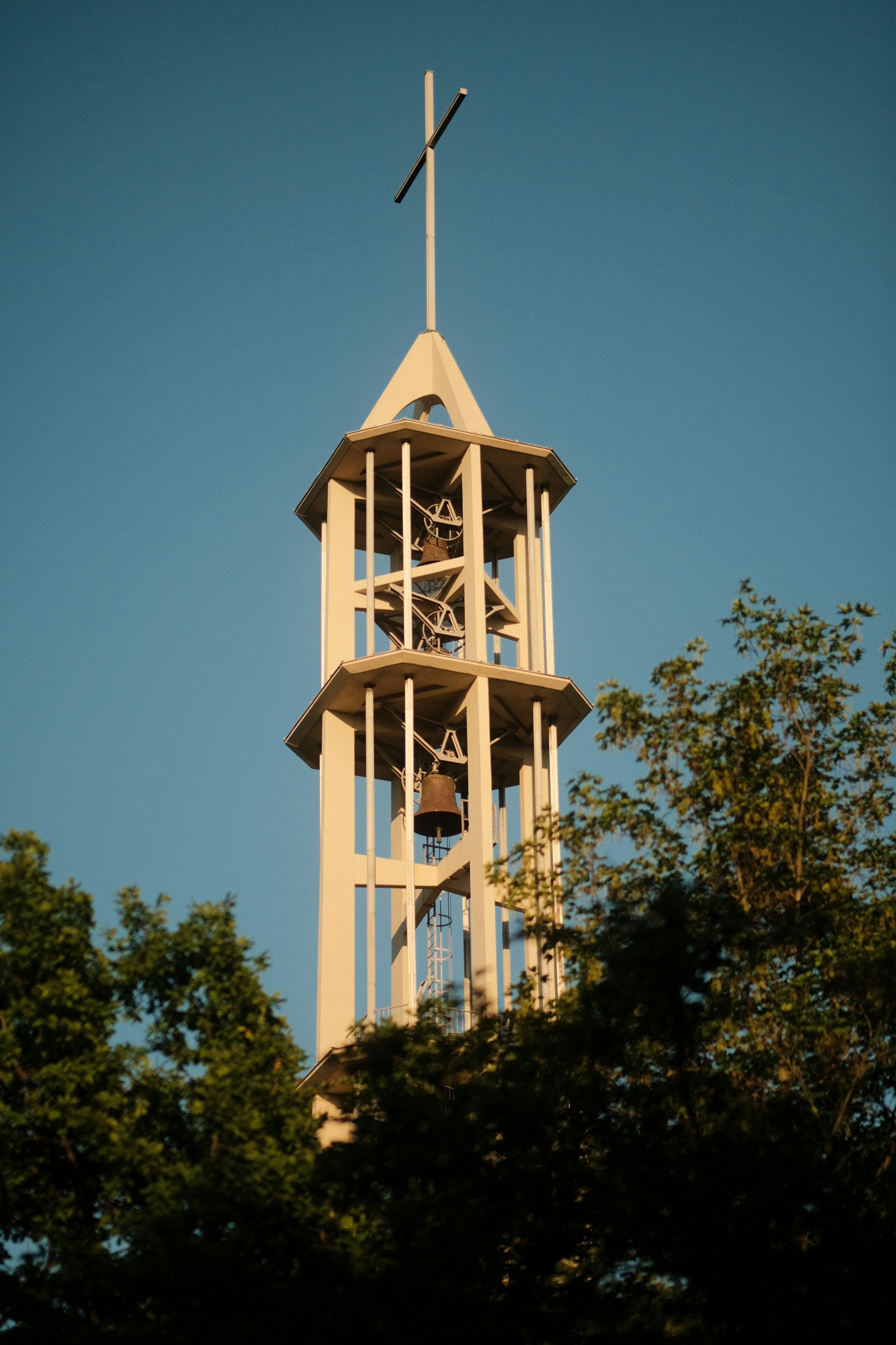 White Bell Tower Rising Above the Trees Under a Clear Blue Sky