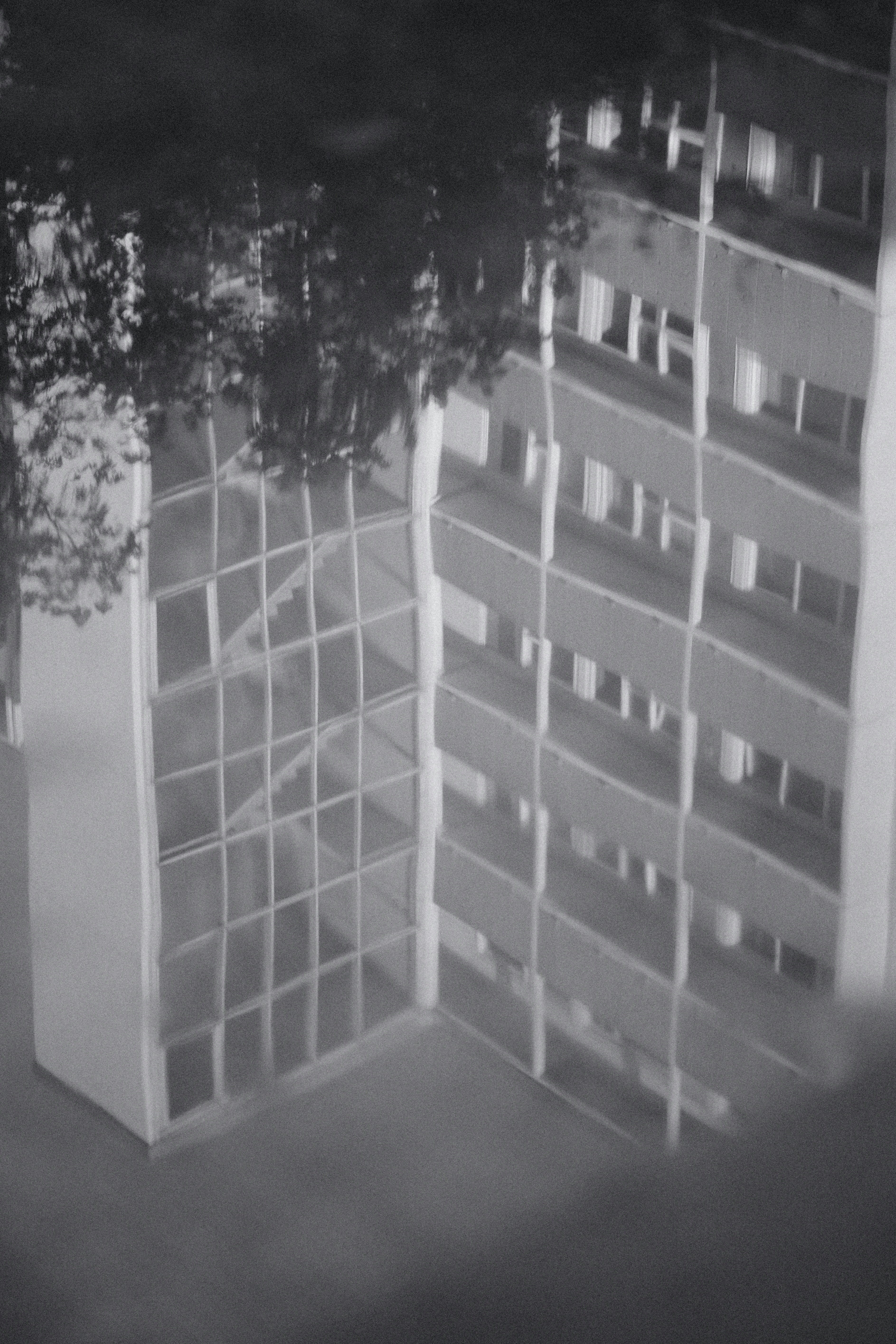 Monochrome Facade Geometry: The Quiet Grid of Glass and Shadow