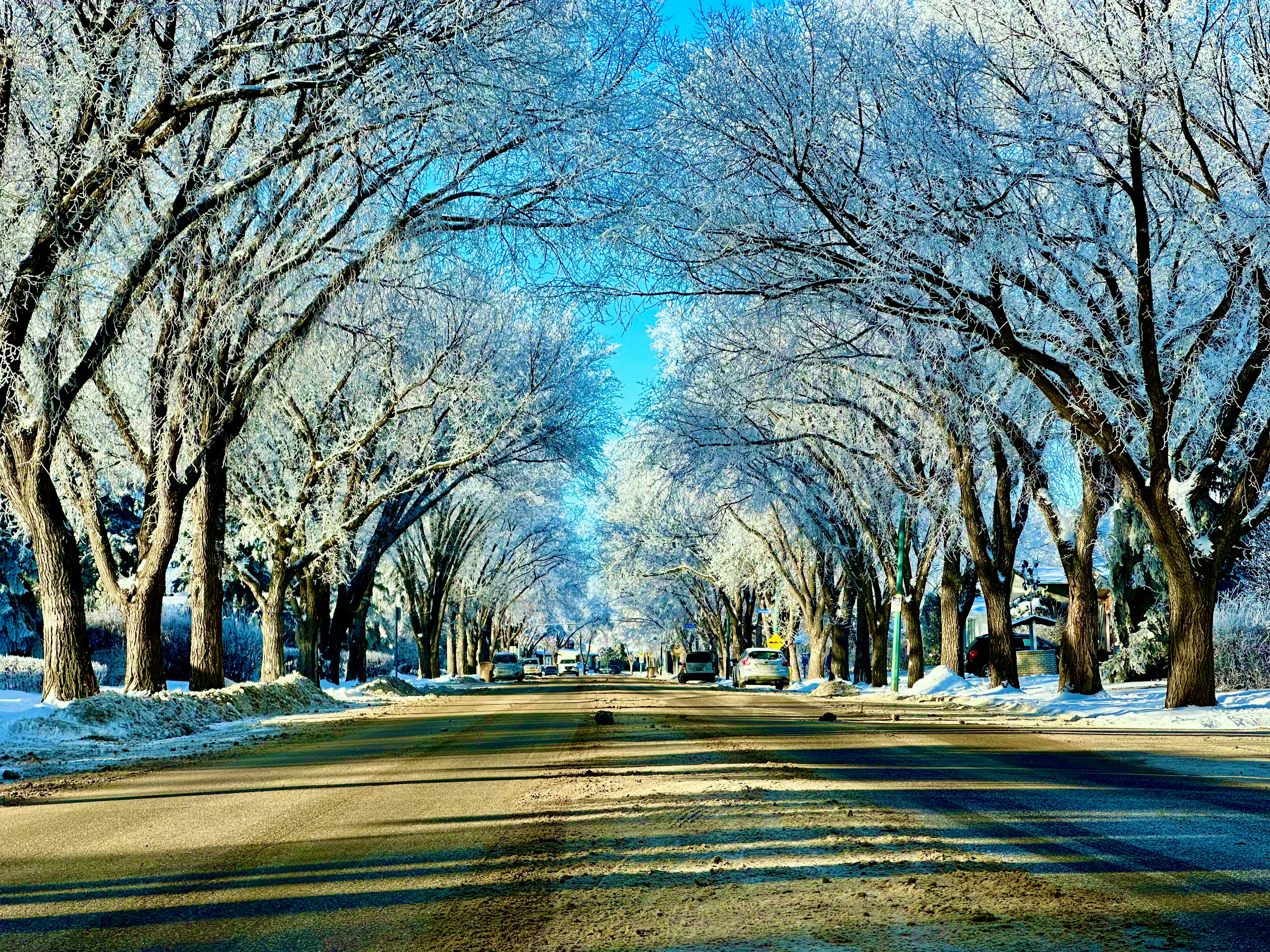 Winter Avenue Symphony