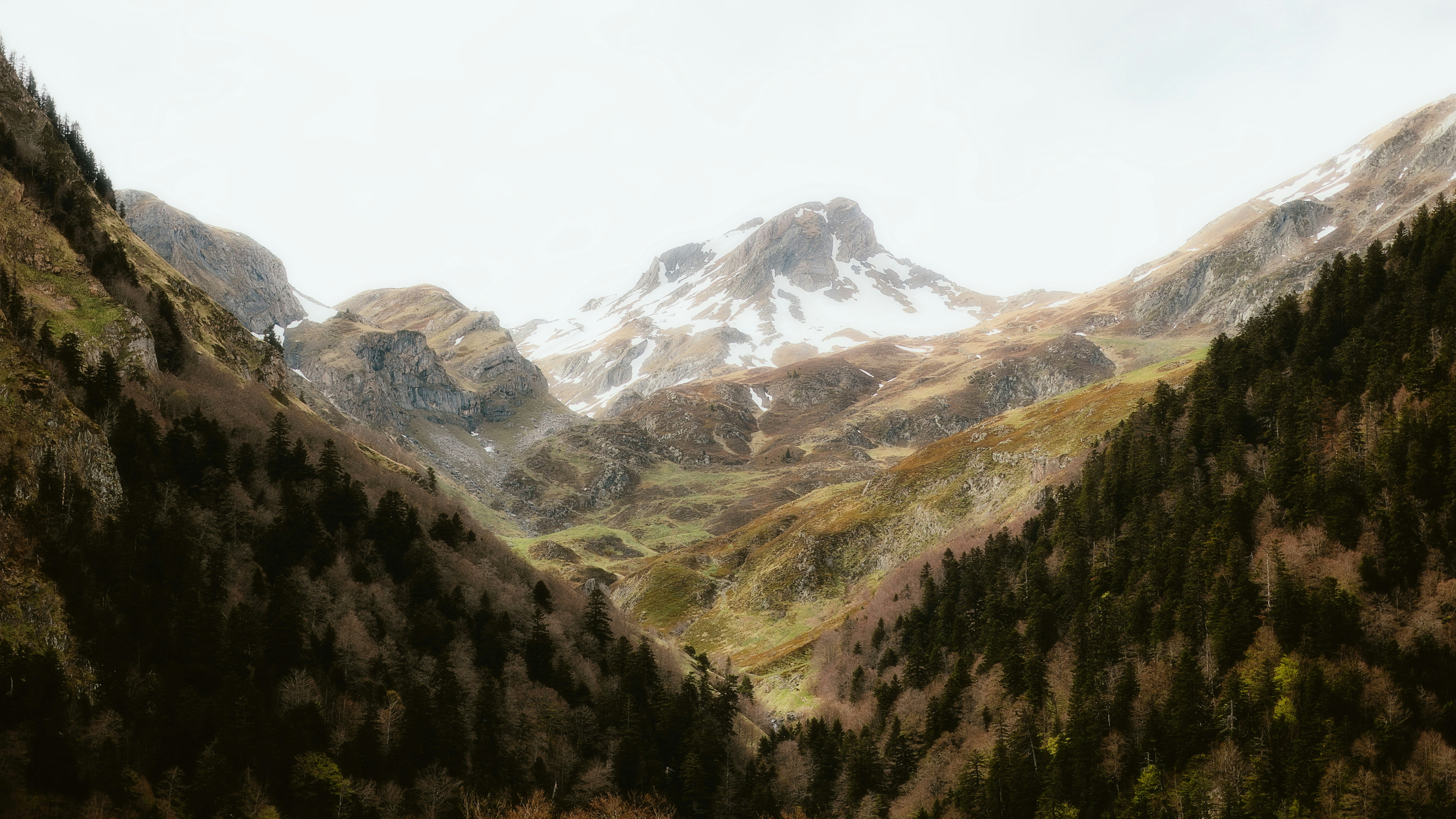 Glacial Spine: Snow-capped Peaks Above a Forested Valley