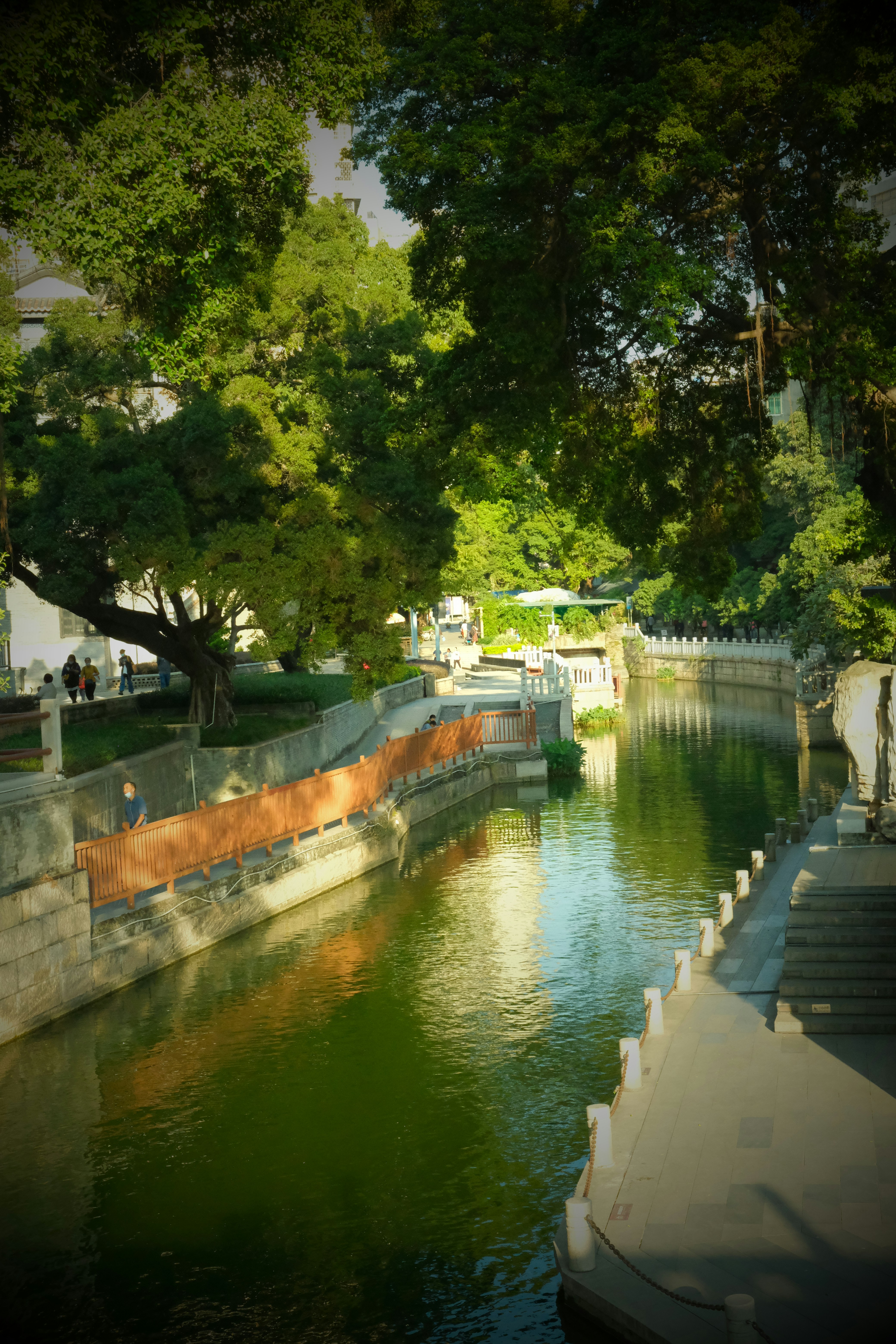 Verdant Promenade: A Quiet Canal Framed by Canopy and Stone Walkways