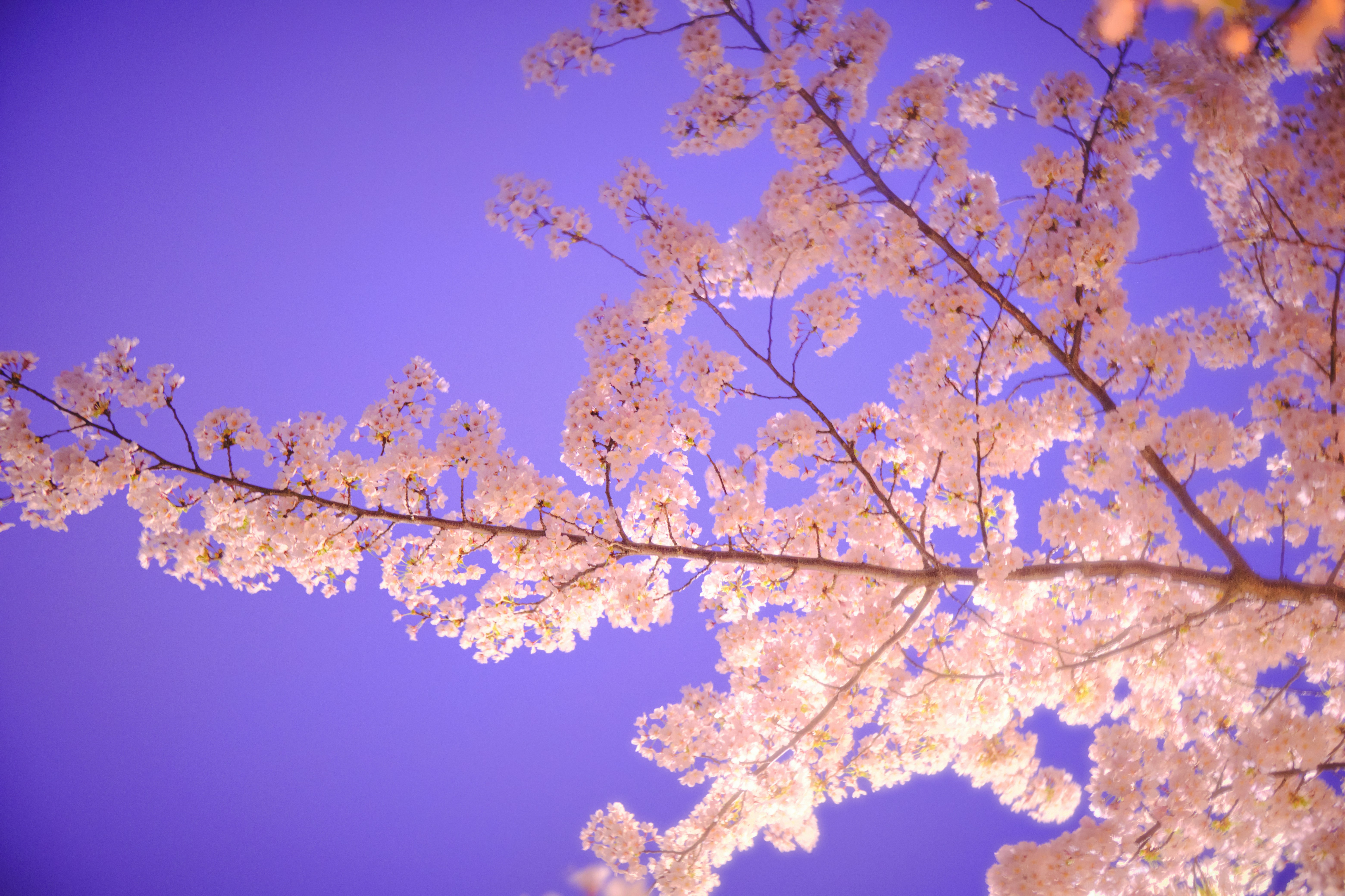 Instagram @junyang0317