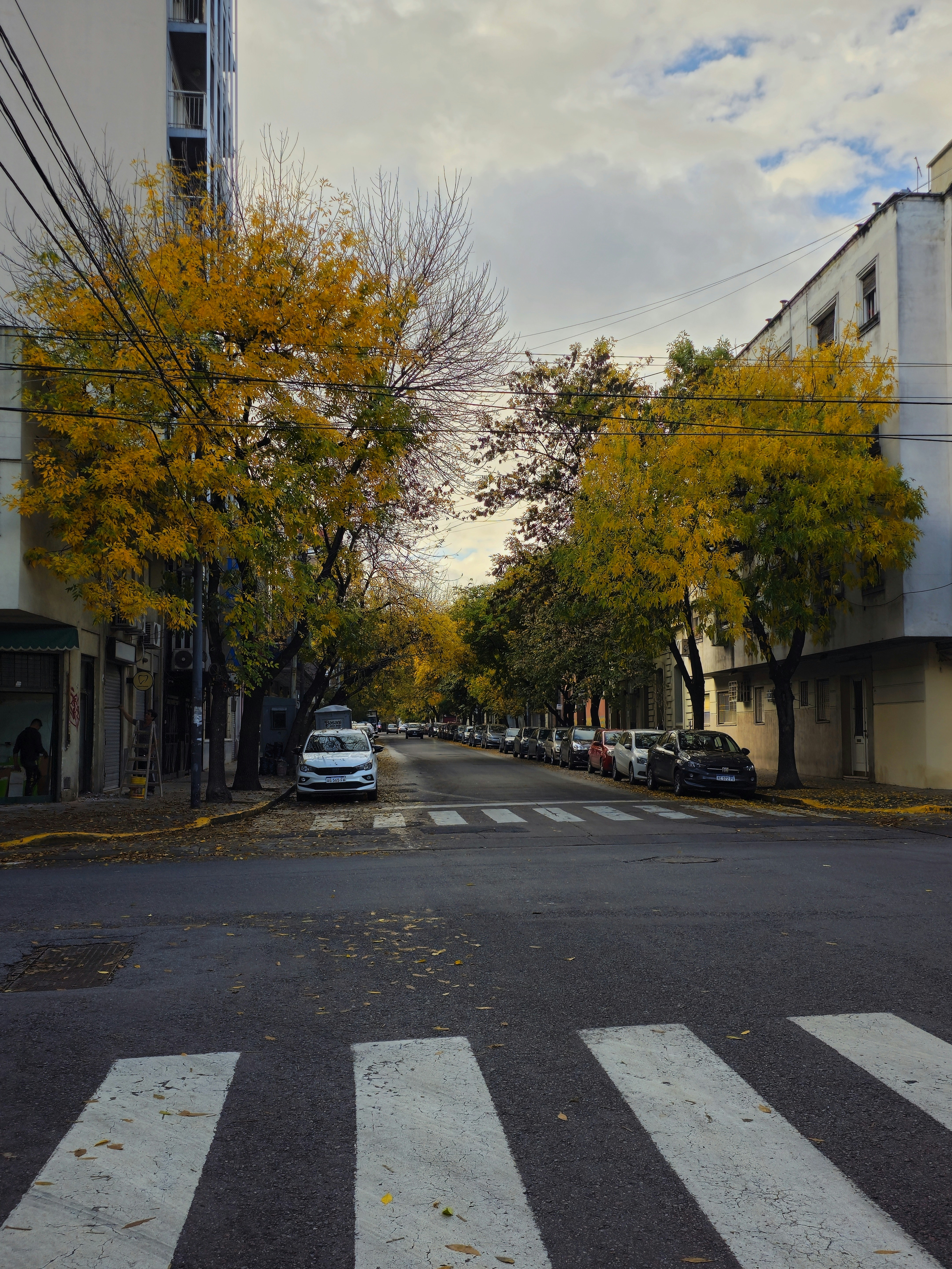 Golden Corridor: Autumn Street Framed by City Blocks