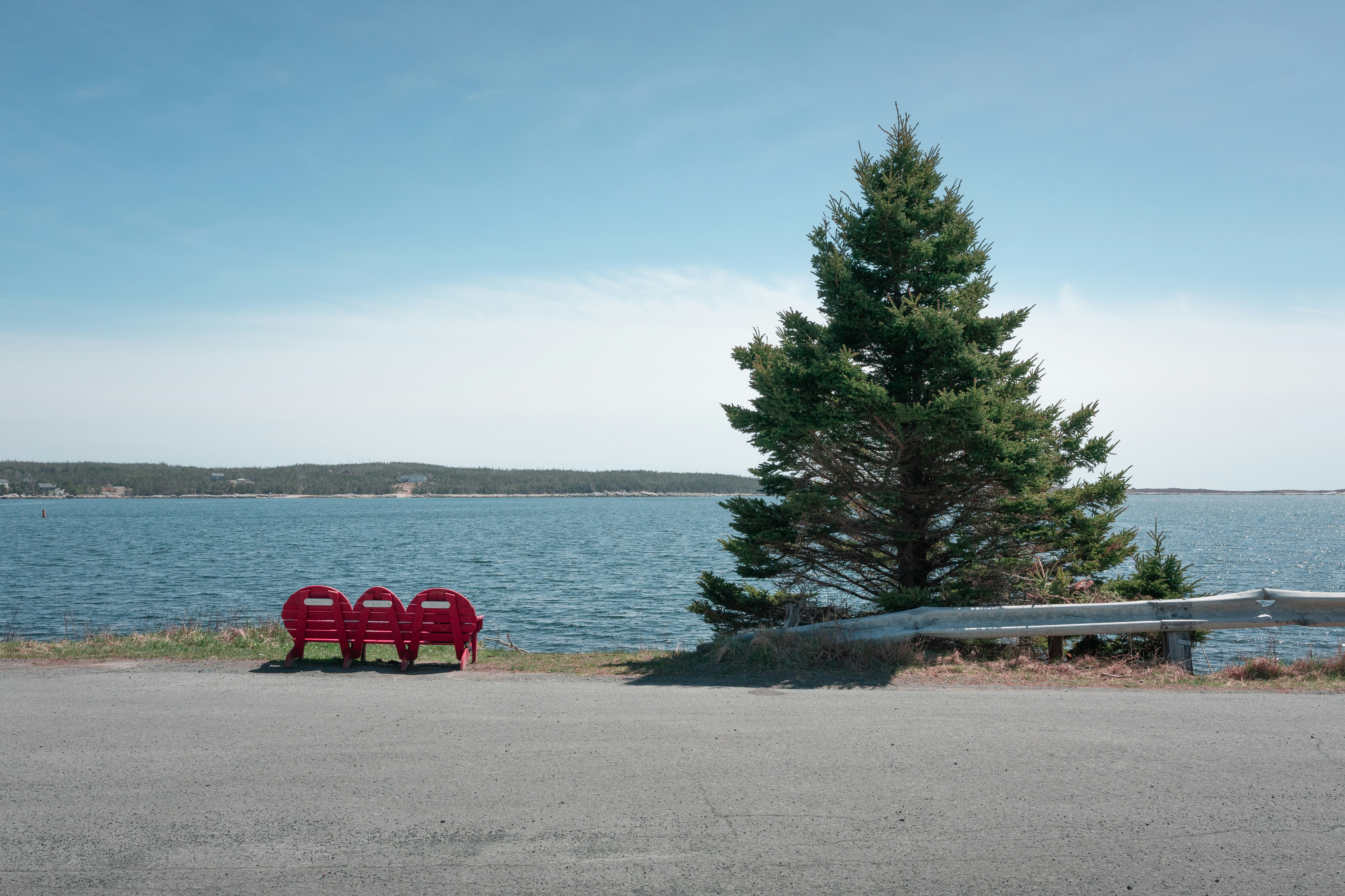 Photo by Minh with Sony Alpha 7 III