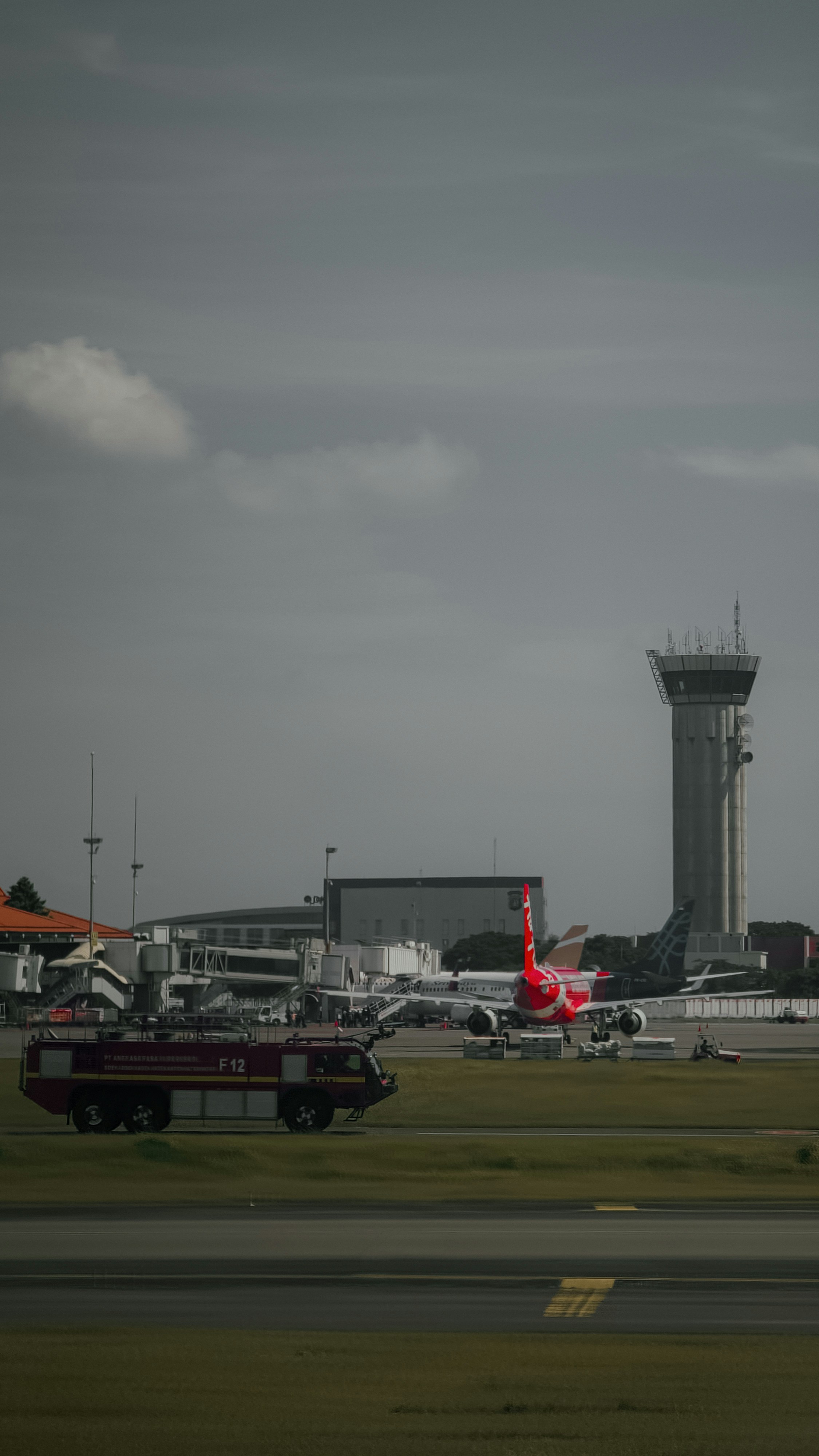Red-tail on the Taxiway: Quiet Airport Ground Perspective