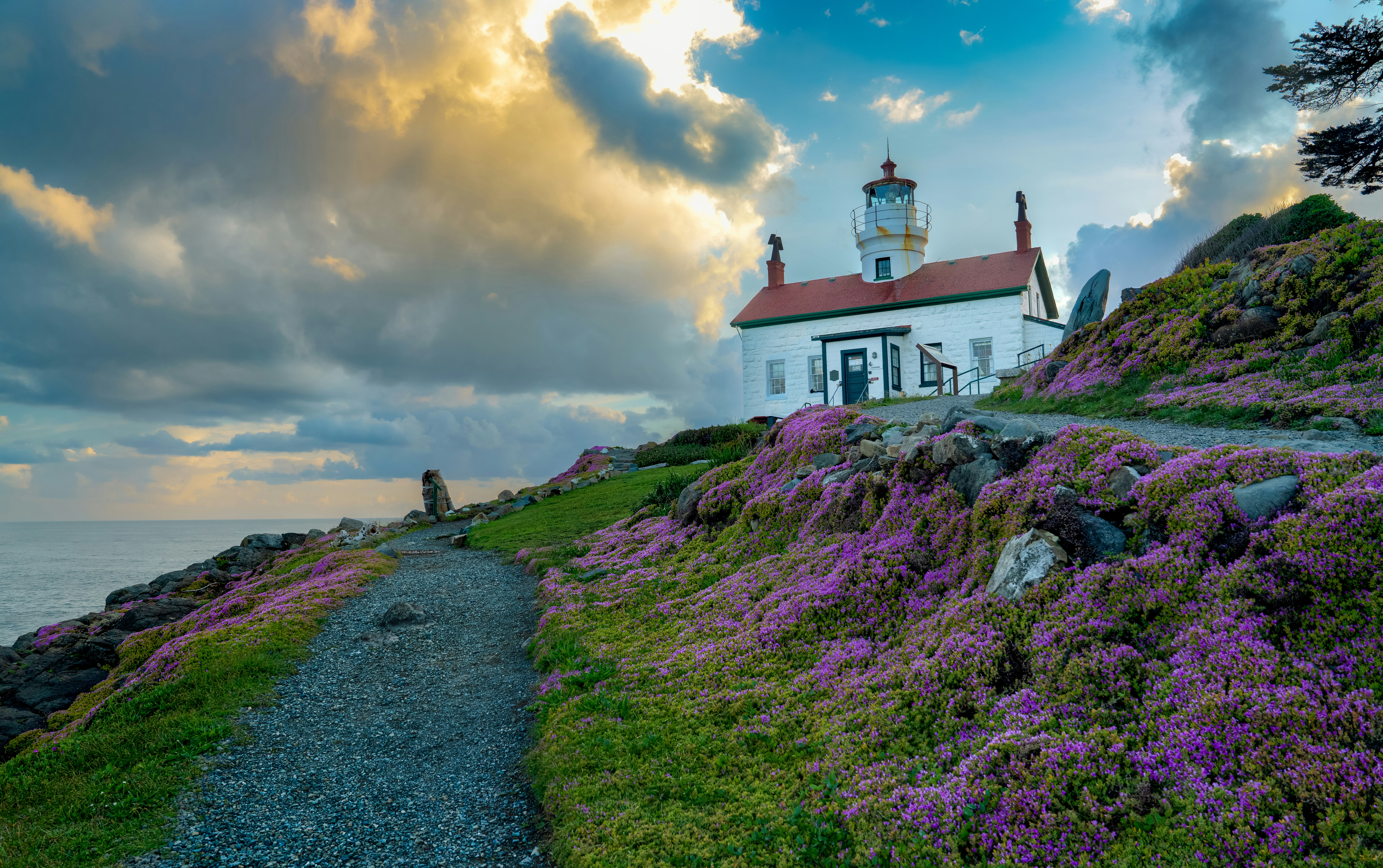 A lighthouse on top of a hill with purple flowers photo – Free Crescent ...