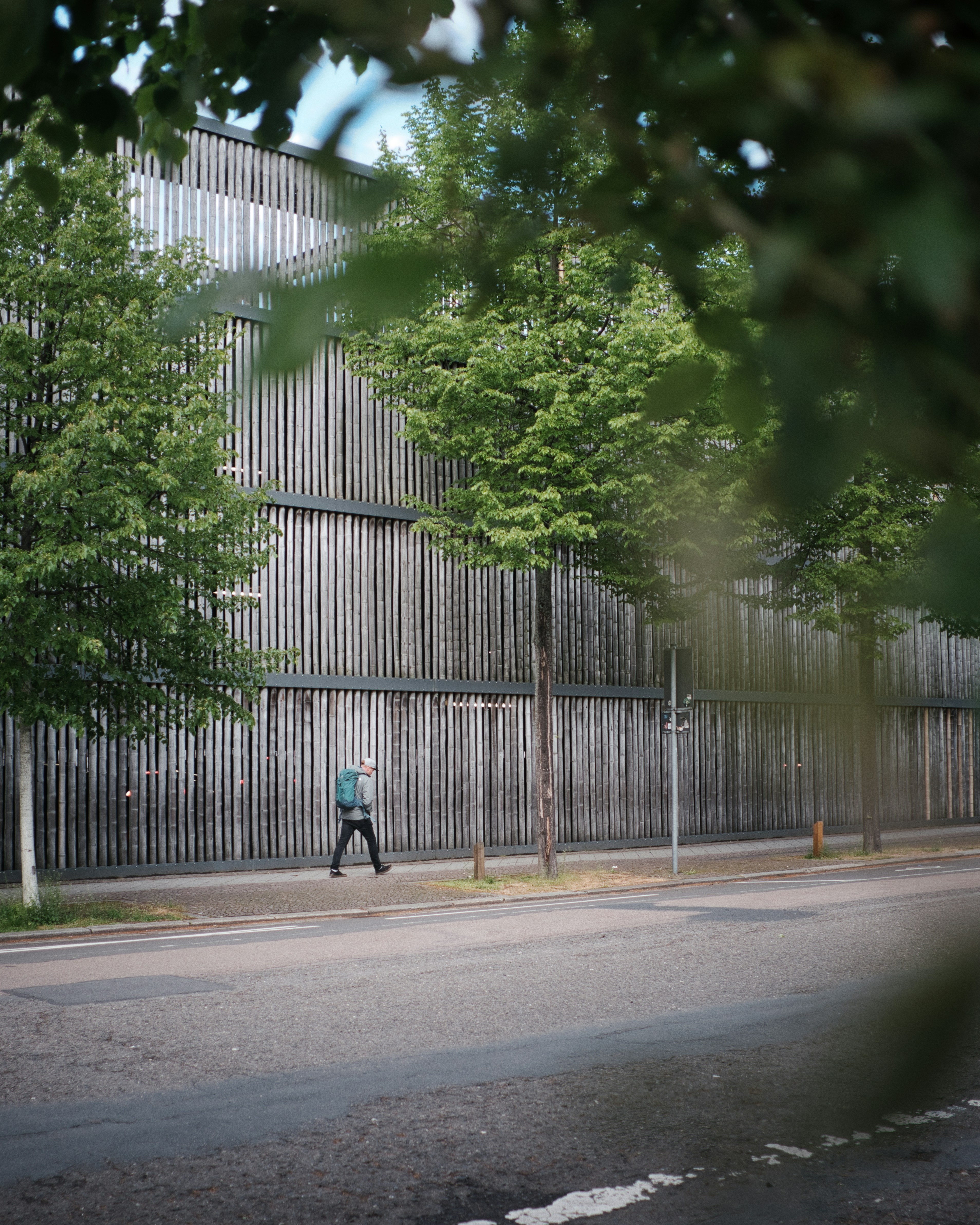 Photo by Todor Dimov with Fujifilm X-T30 II