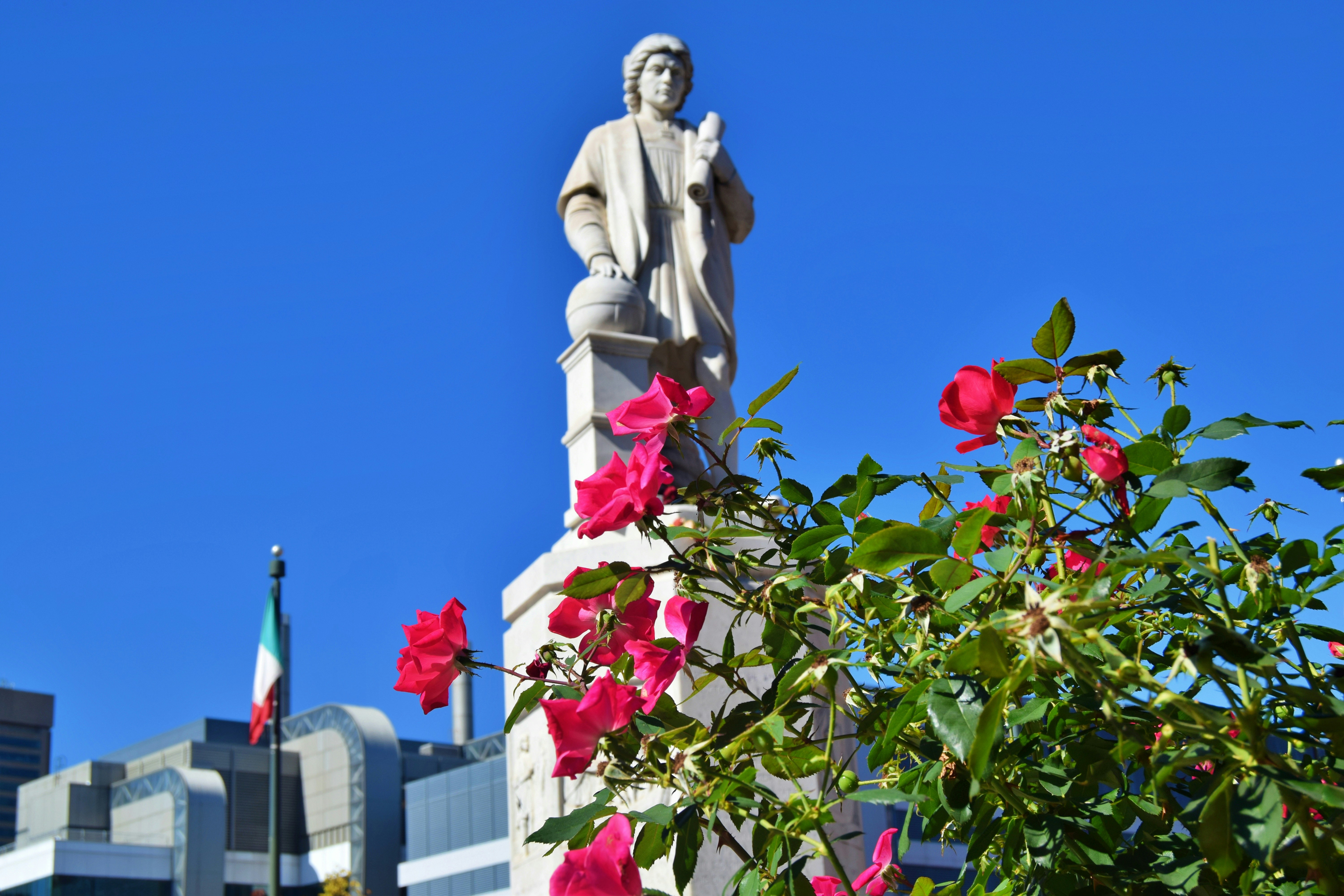 Statue of a man standing on a pedestal with vibrant red flowers in the foreground against a clear blue sky.