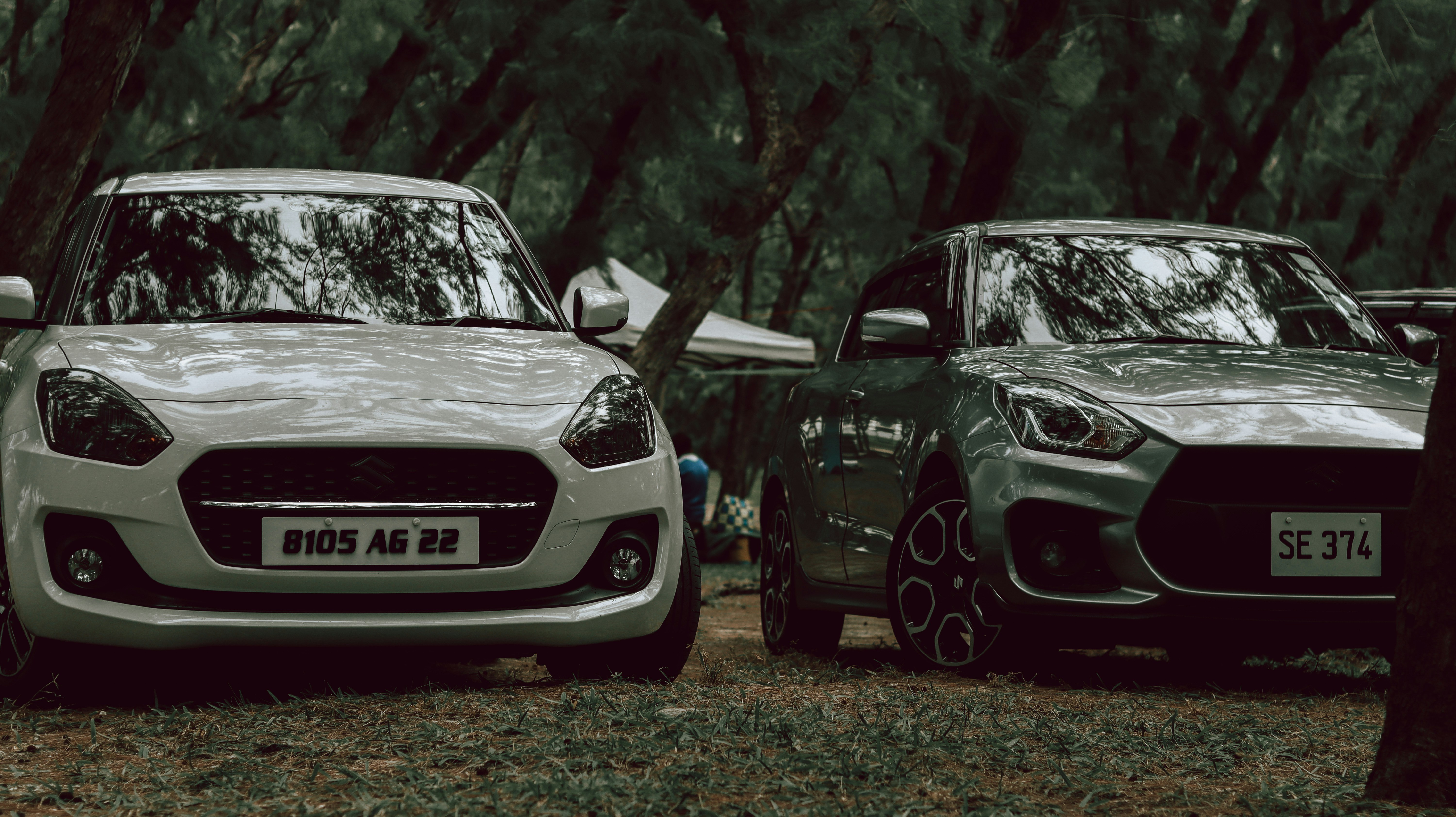 Two cars parked next to each other in a forest photo – Free Grey Image ...