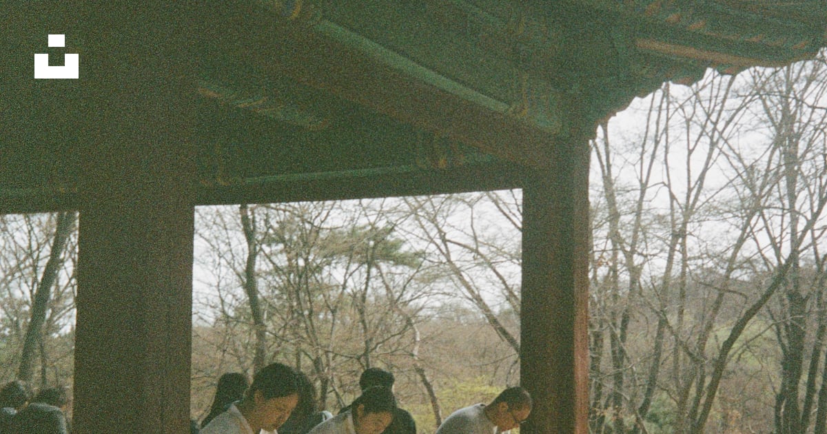 나무 구조물 아래에 앉아있는 한 무리의 사람들 사진 Unsplash의 무료 초상 이미지