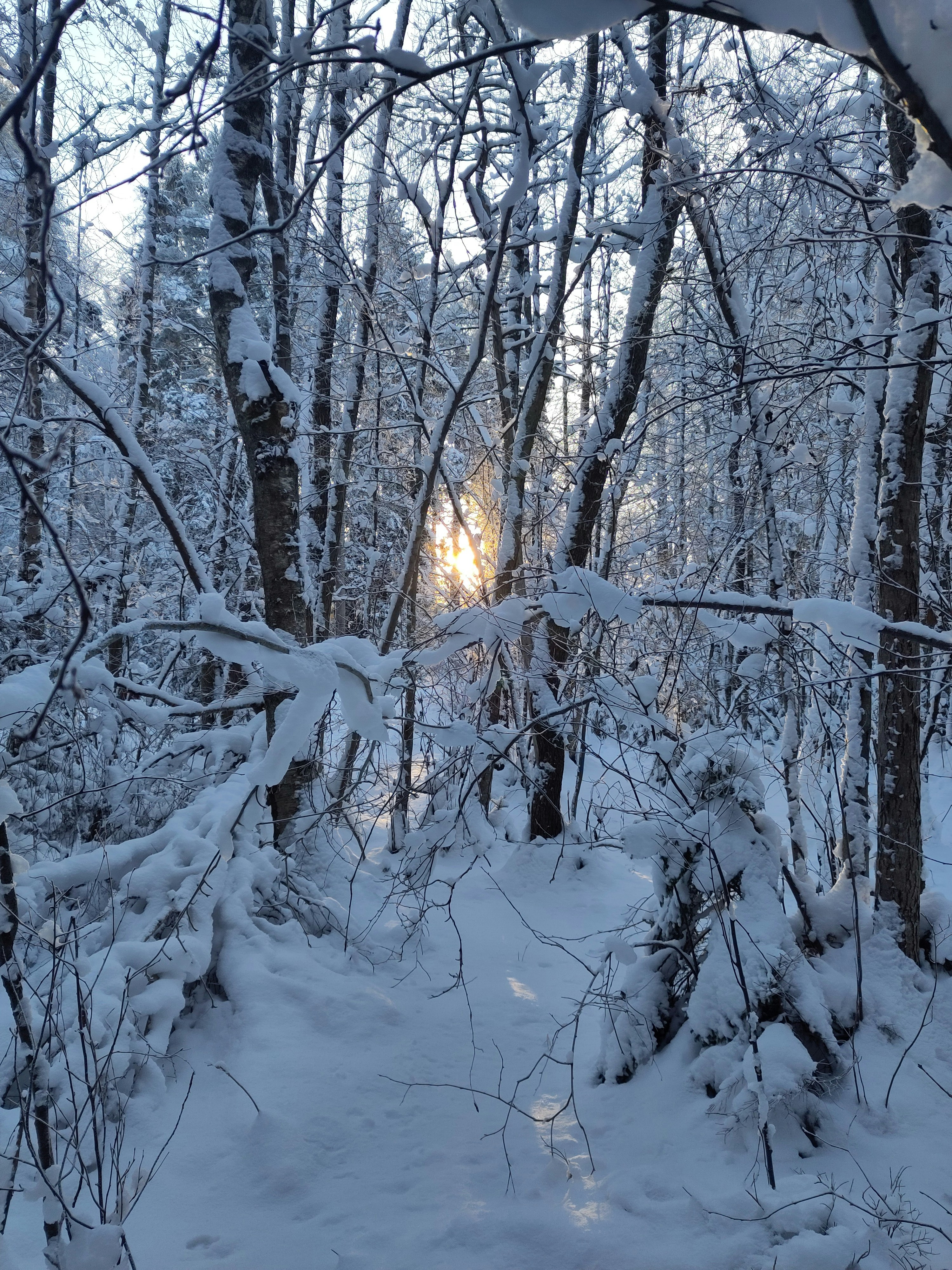 Johan Ericsson (@johanericsson) | Unsplash Photo Community
