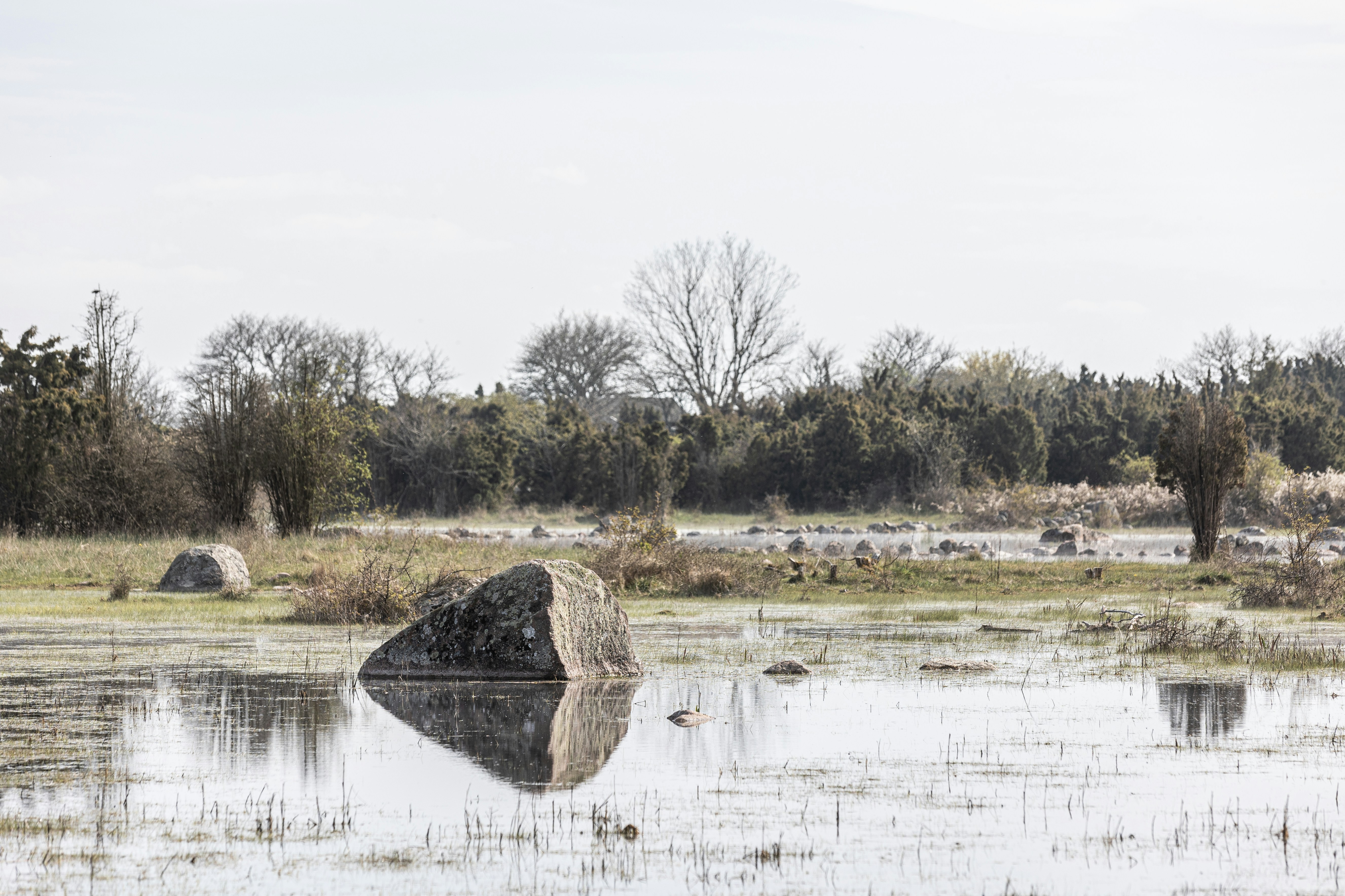 Rock Sentinel in a Glassy Floodplain