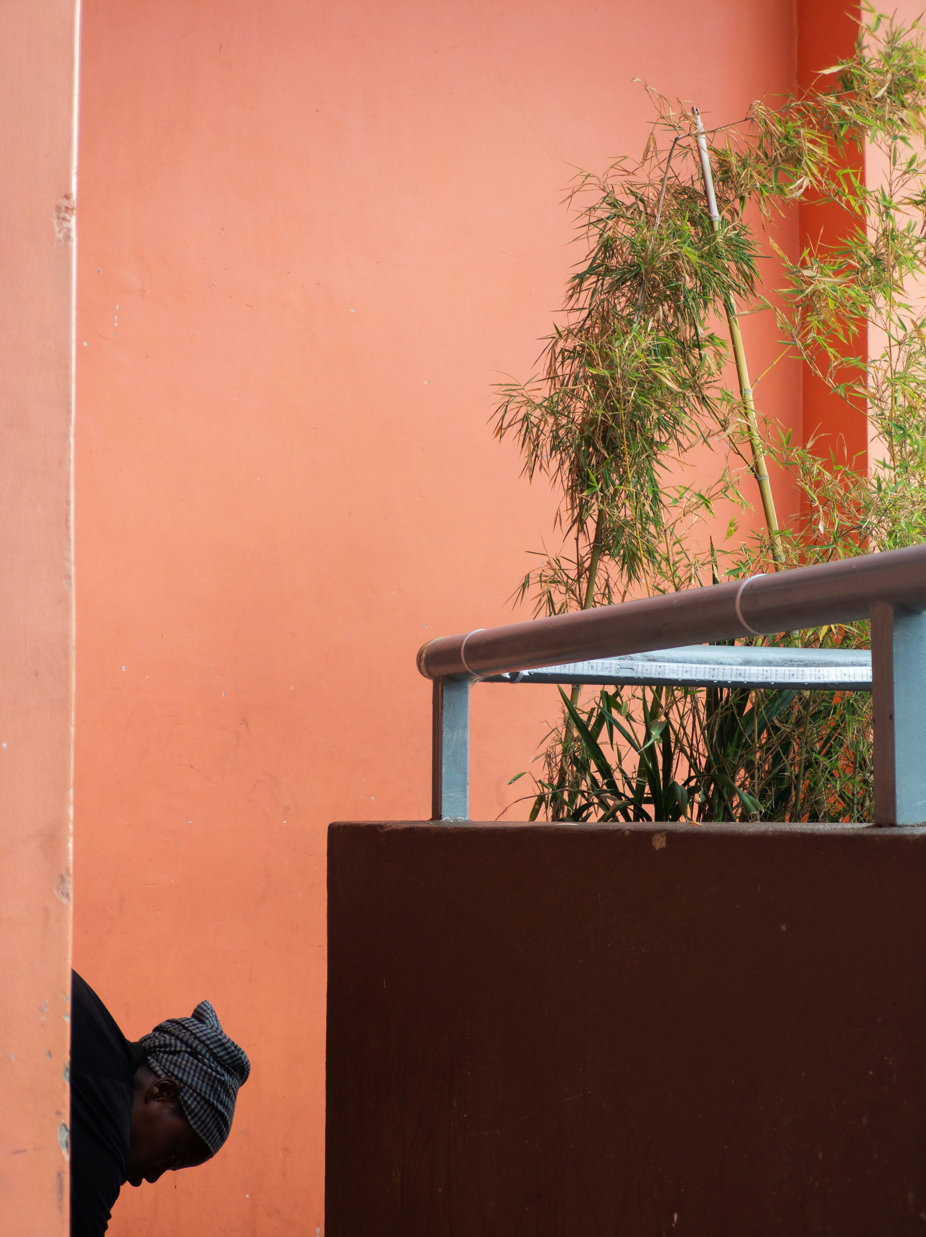 Photo by Sidney Ding with Xiaomi 14 Ultra