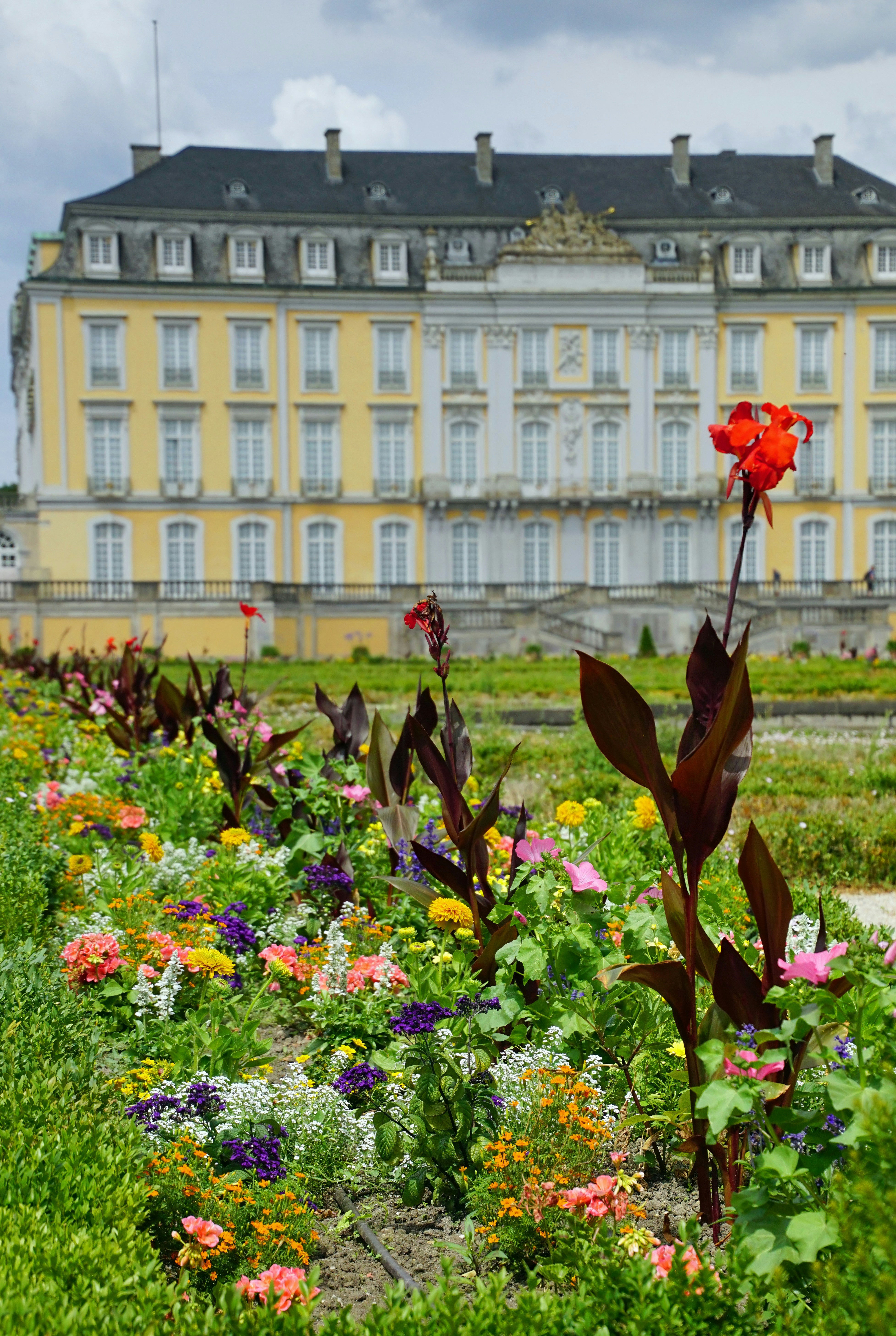 Crimson Bloom Framing a Yellow Palace Garden