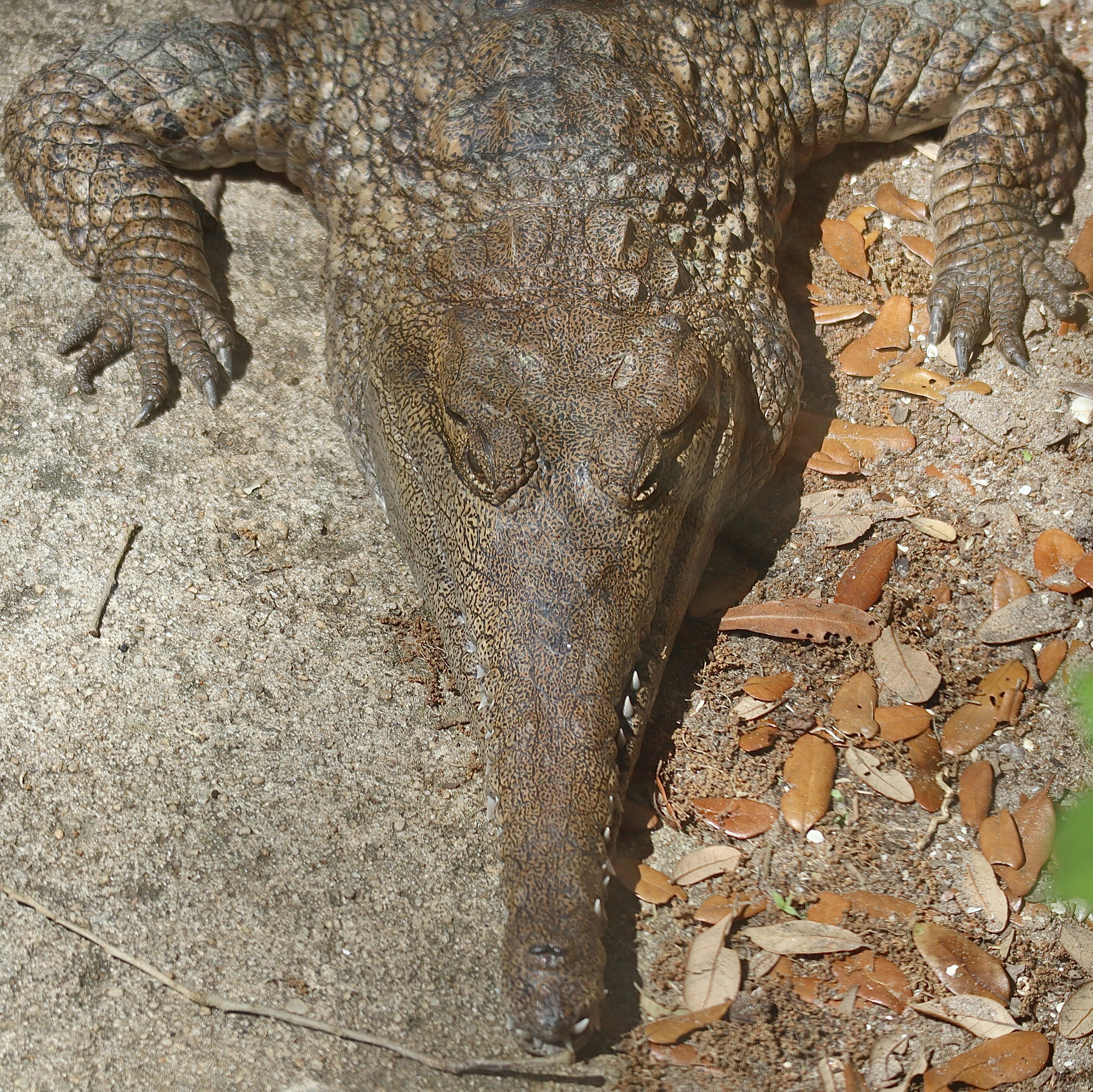 Photo by Rebecca Johnsen with Canon EOS M50