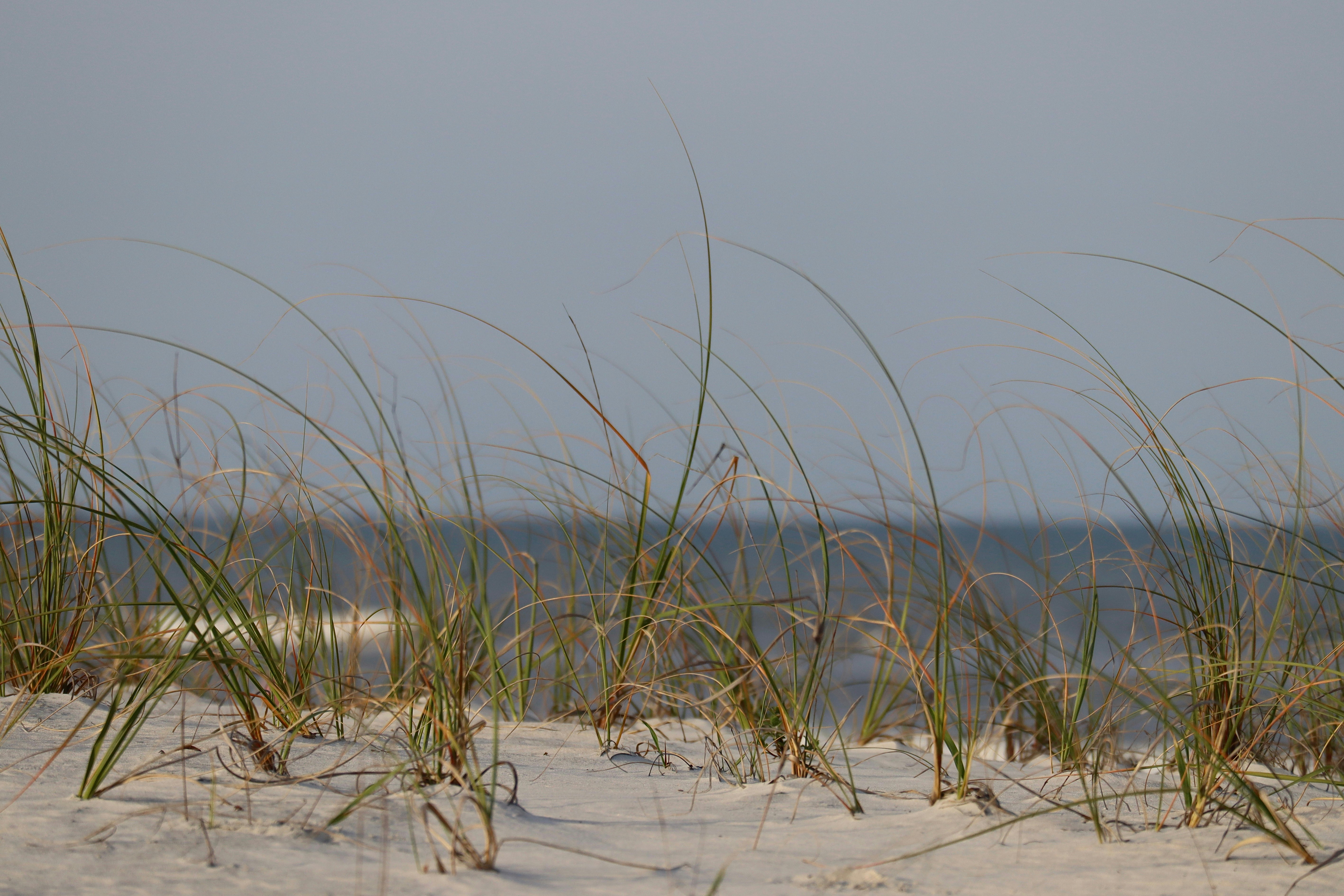 Photo by Rebecca Johnsen with Canon EOS M50