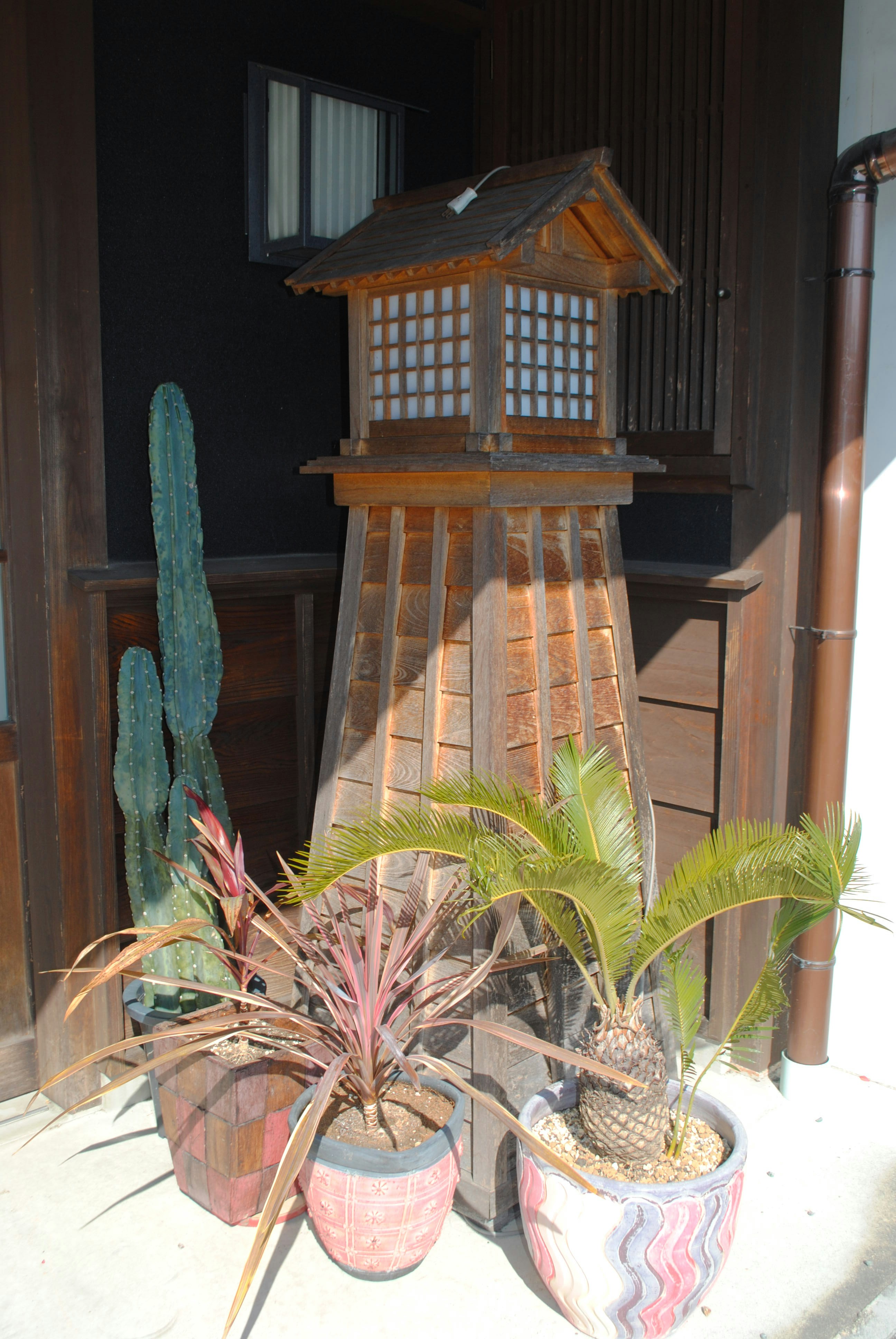 Lantern Sentinel: A Sunlit Wooden Shrine Among Potted Palms