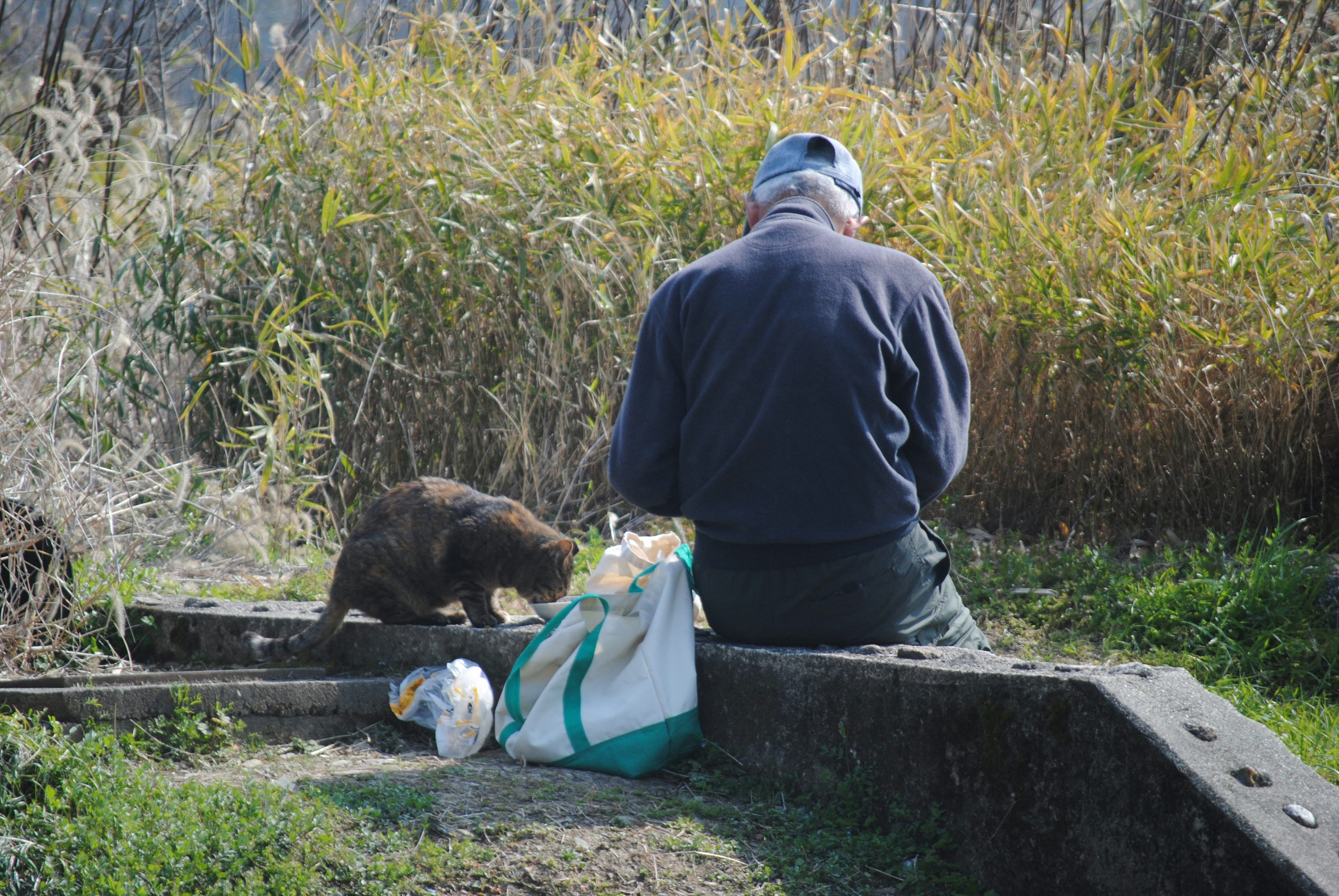 Quiet Perch: An Autumn Pause by the Riverside