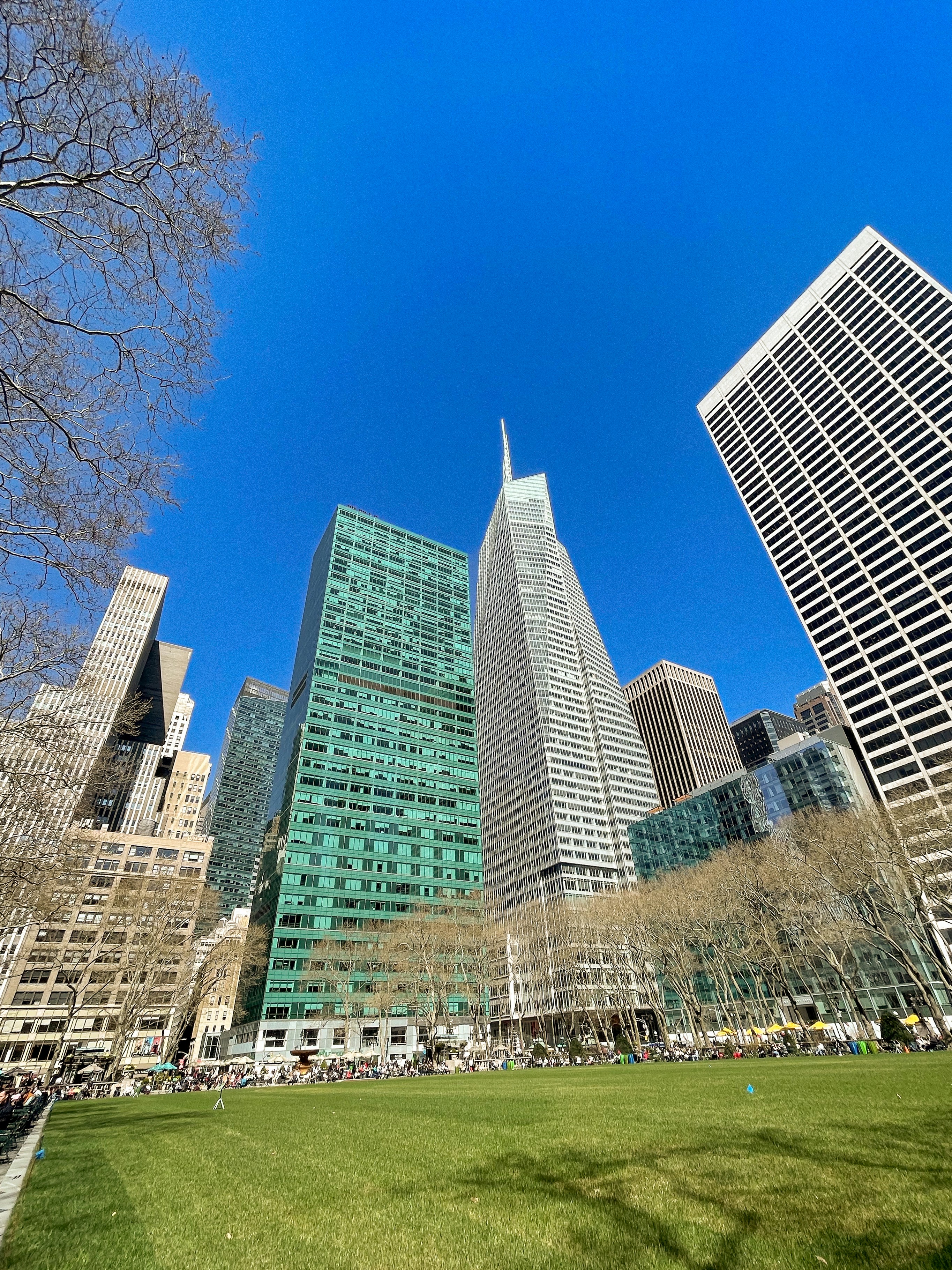 a grassy field in front of tall buildings