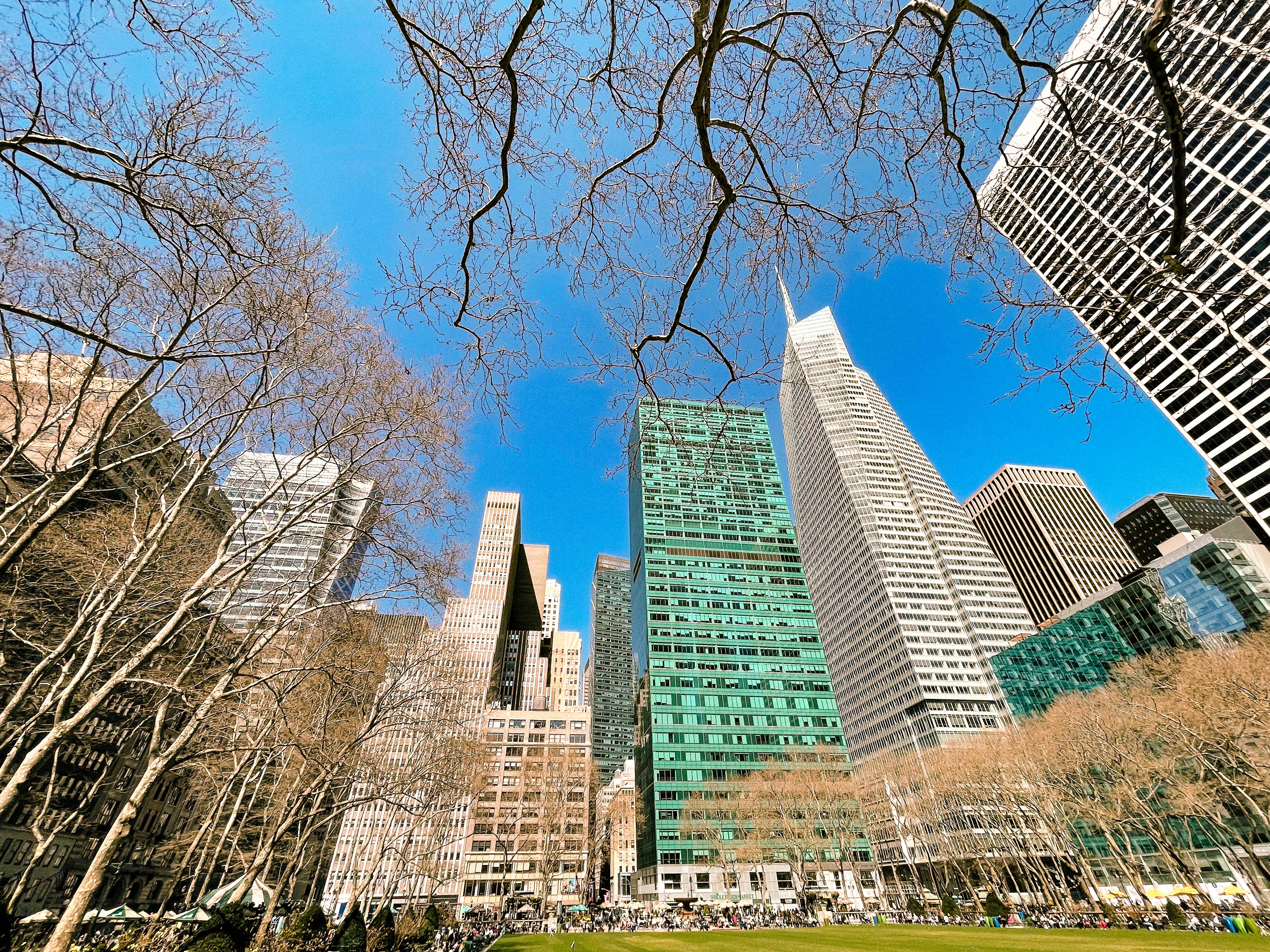 A view of a park with tall buildings in the background photo – Free ...