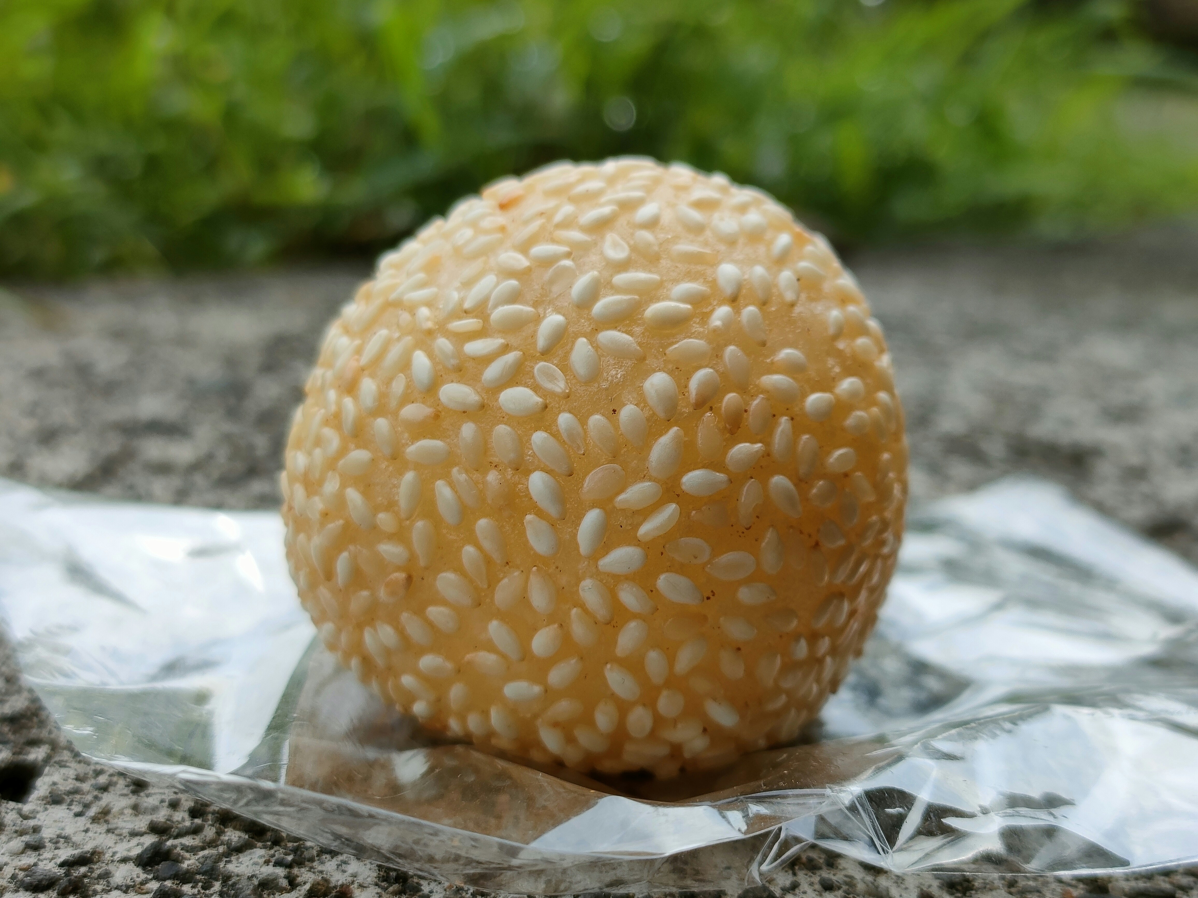 Sesame-coated pastry resting on a clear wrapper with a blurred green background.