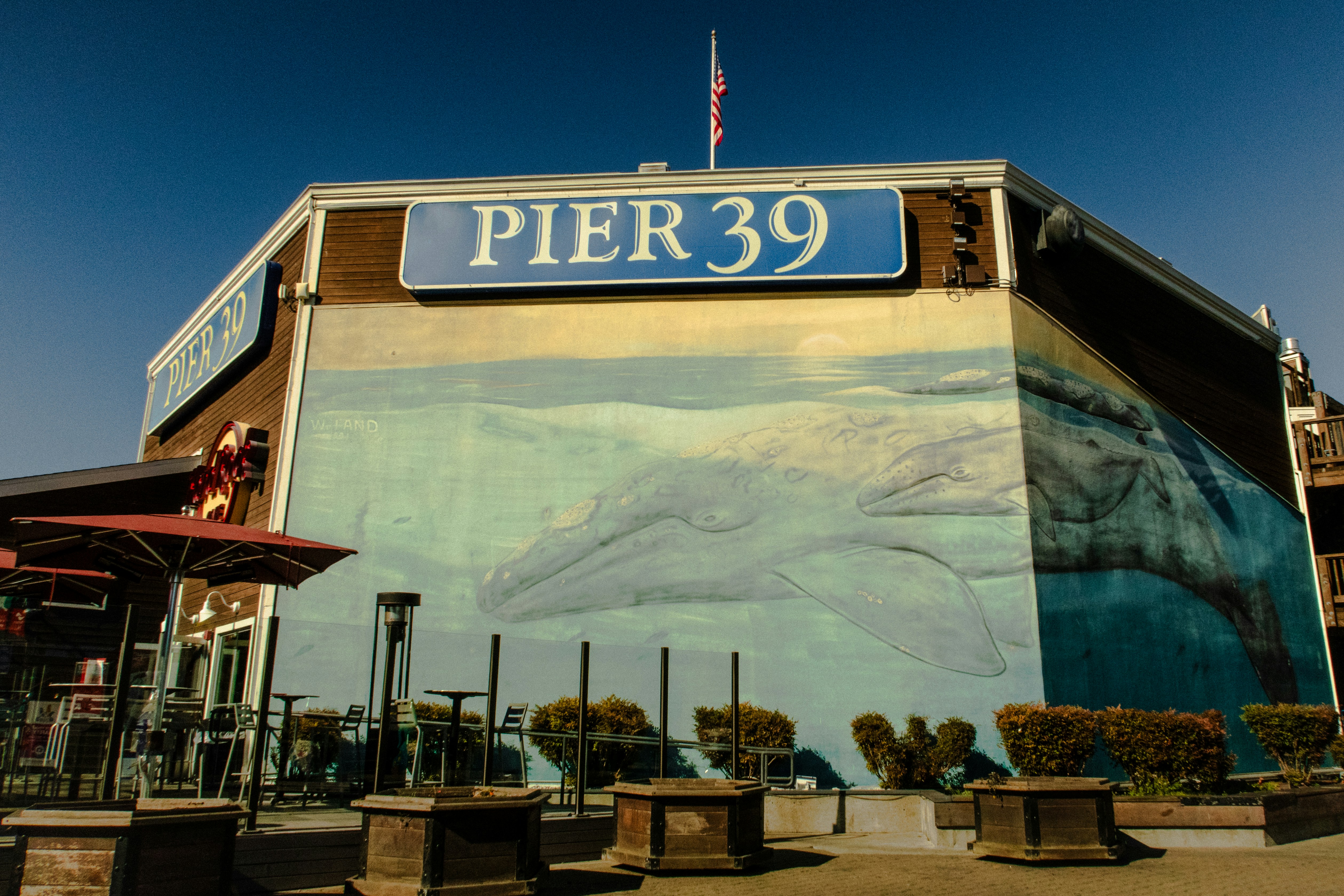 Pier 39 Aerial at Golden Hour: Face of the Painted Whale