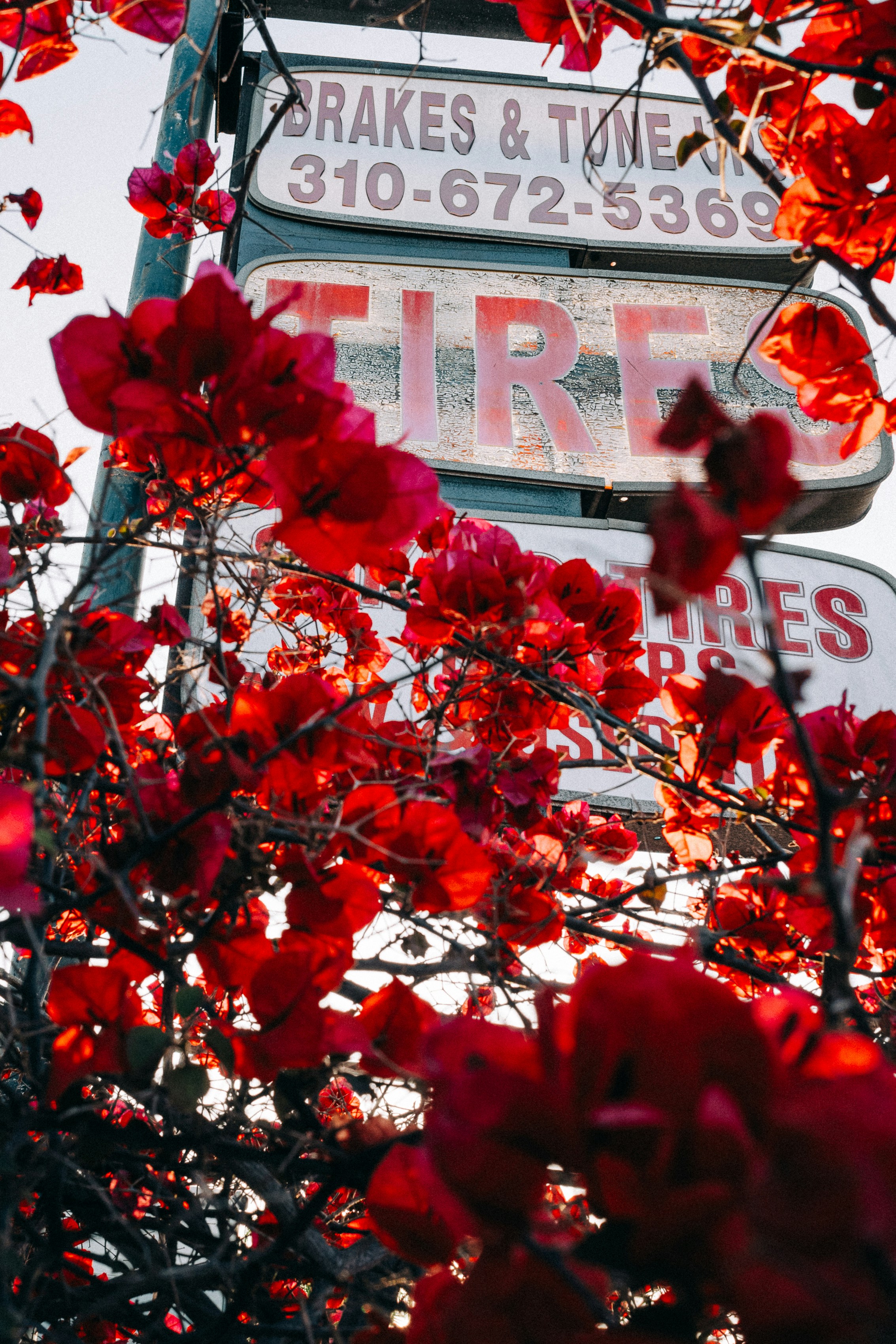 Floral Frame on a Fire Station Sign