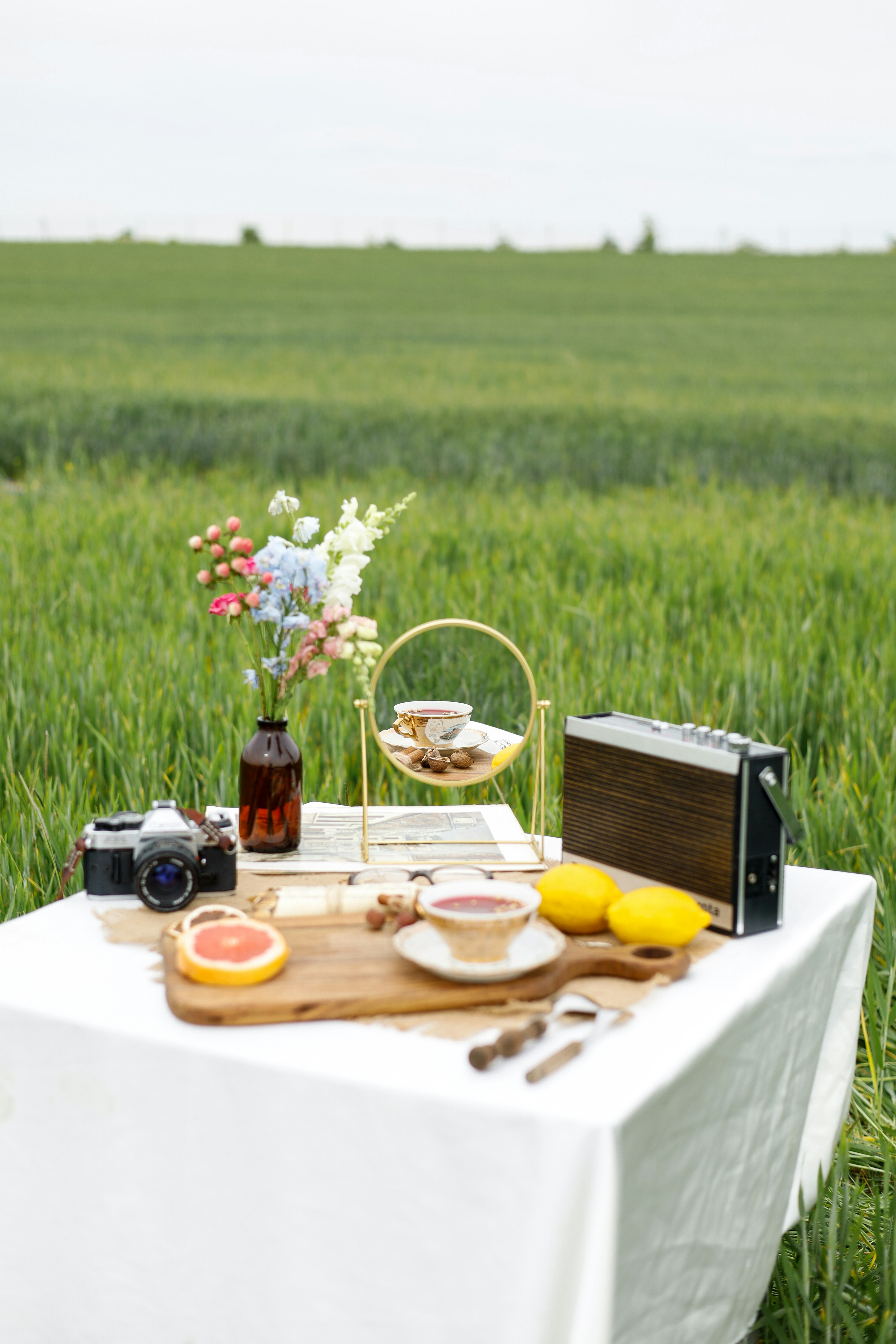 Meadow Tea Amidst the Grass: A Golden Ring Framing a Teacup on a Field Table