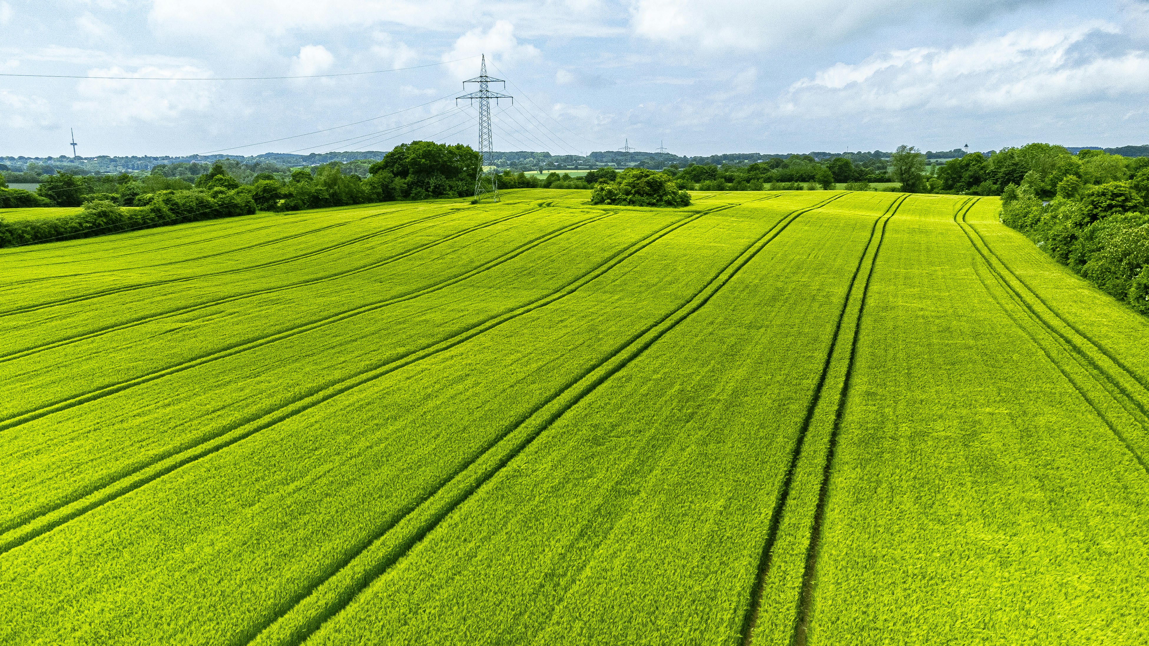 Aerial Linework: Bright Green Fields Meeting a Distant Horizon