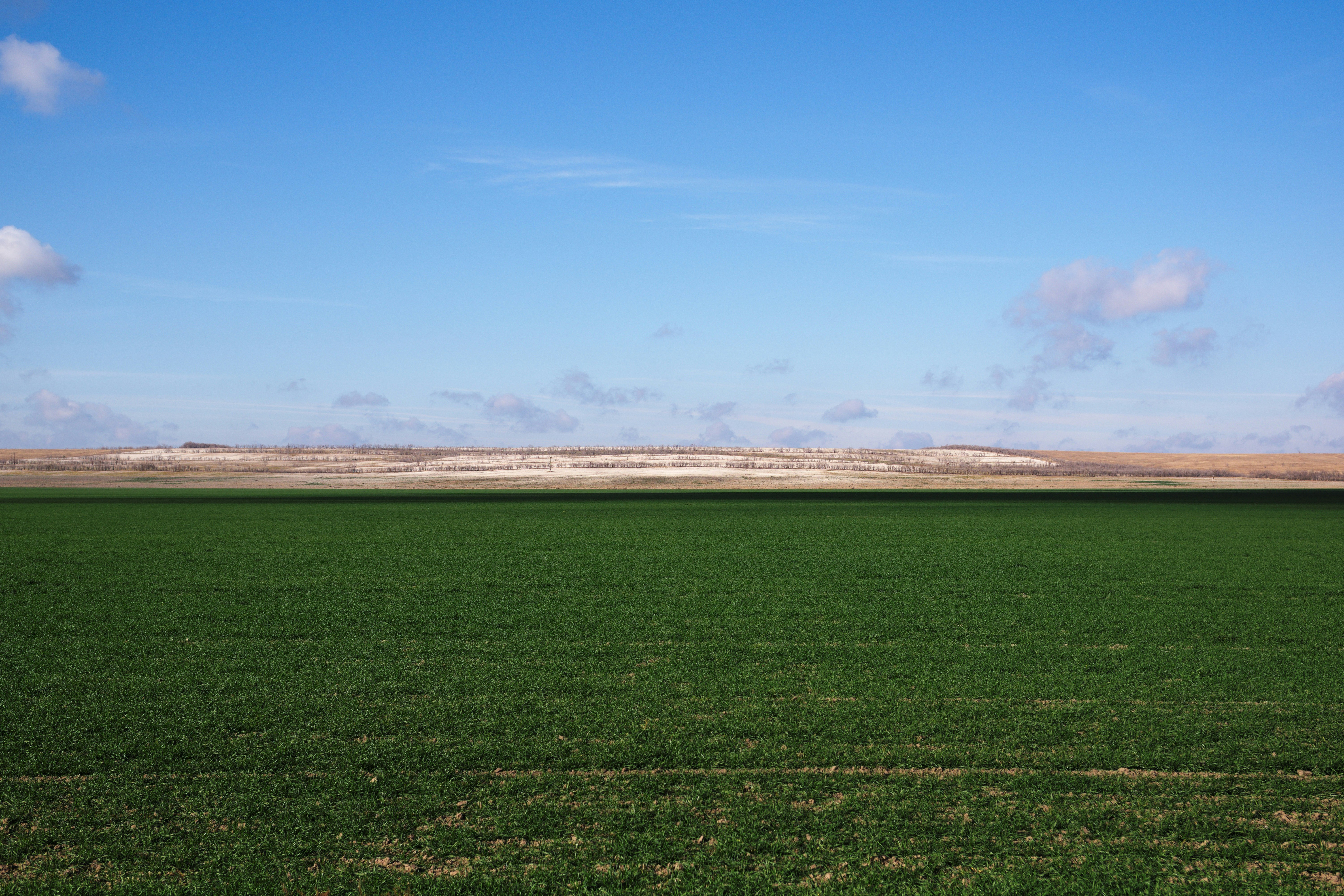 Empty Field Pictures | Download Free Images on Unsplash