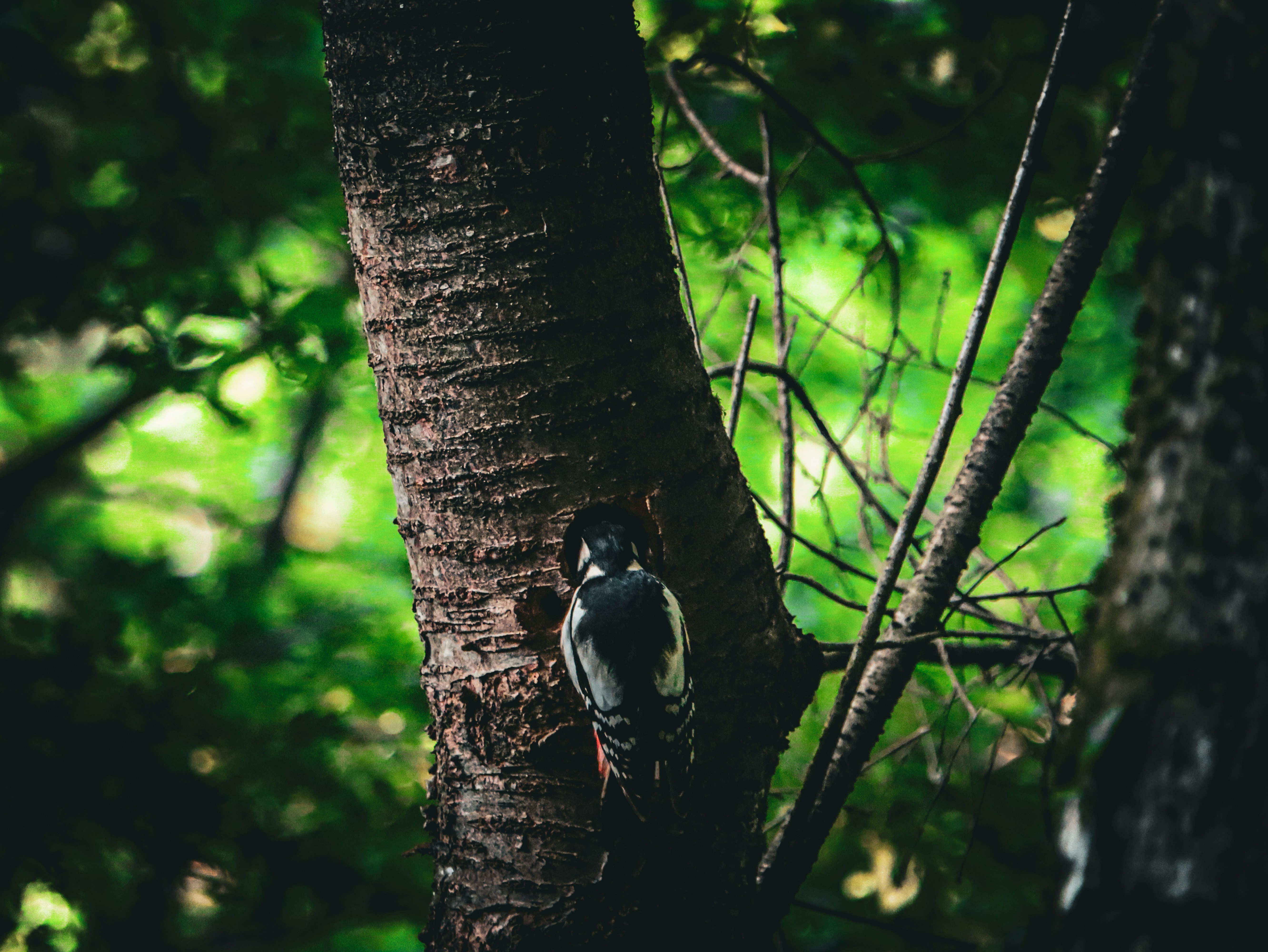 Photo by Nikola  Tomašić with Canon EOS M50