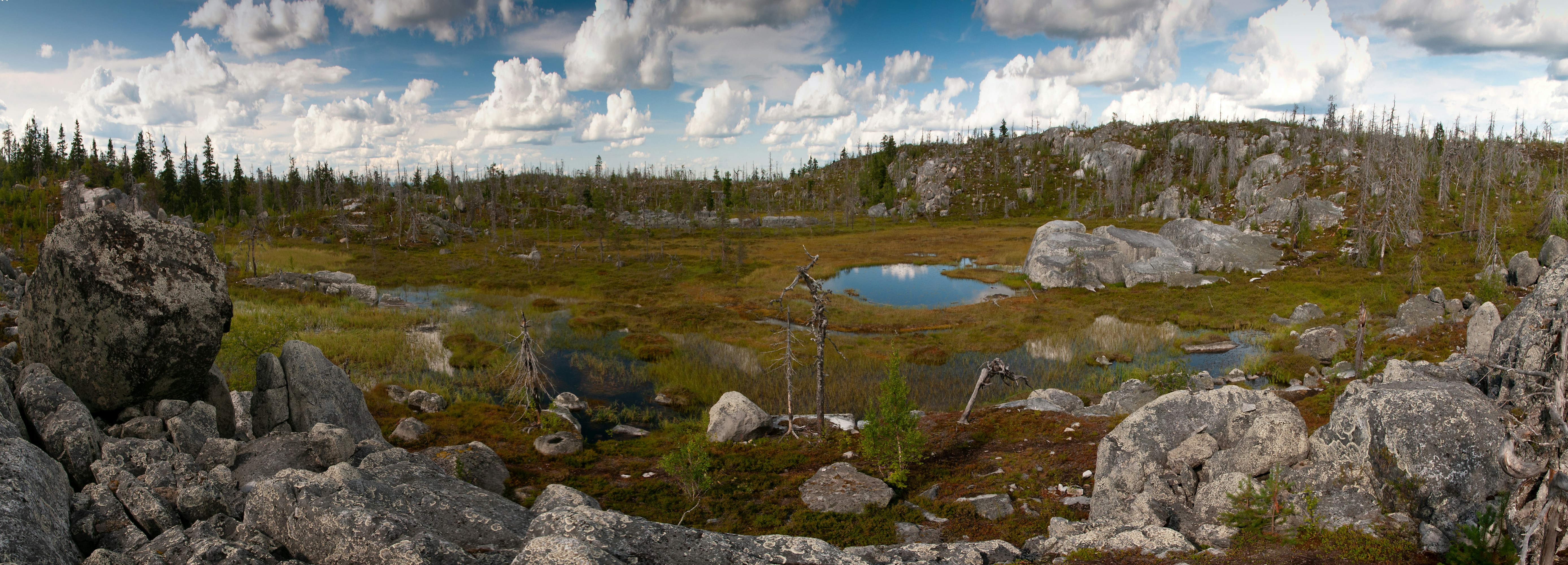 Stone Garden Overlook: A Quiet Basin Amid the Granite Moons