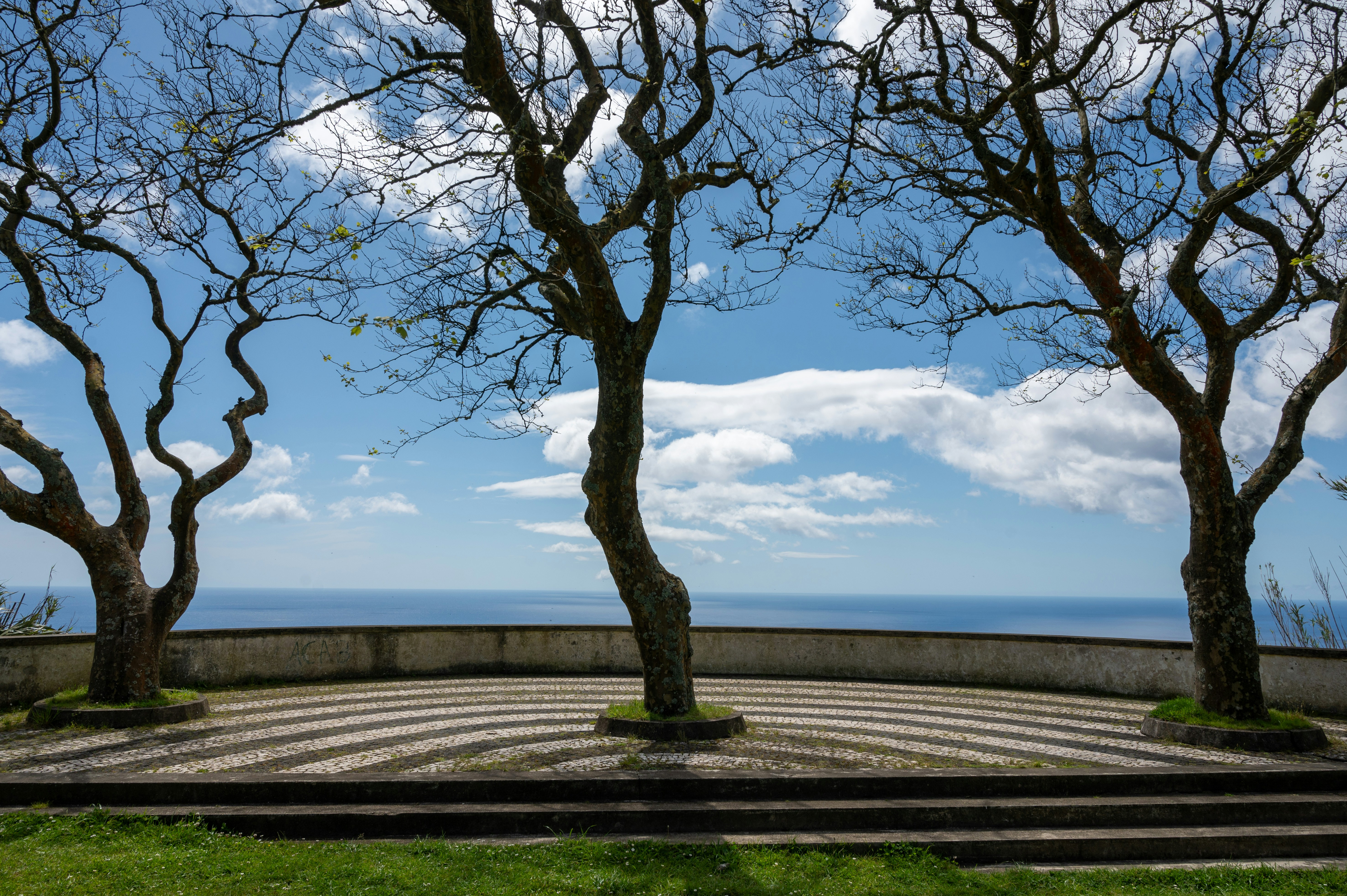 A circular stone structure with trees in the foreground photo – Free ...