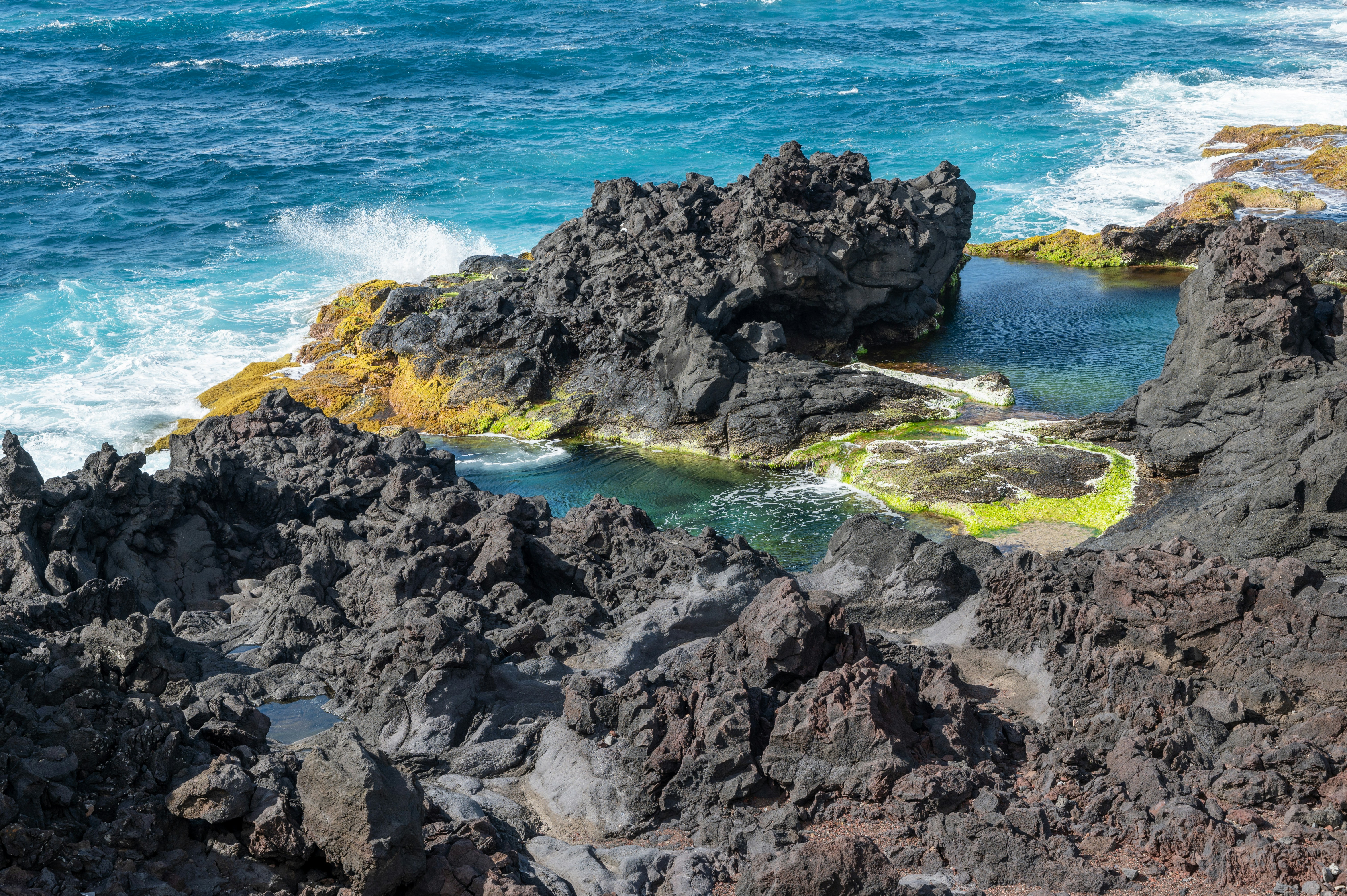 Turquoise waves crash against dark volcanic rocks and vibrant tidal pools.