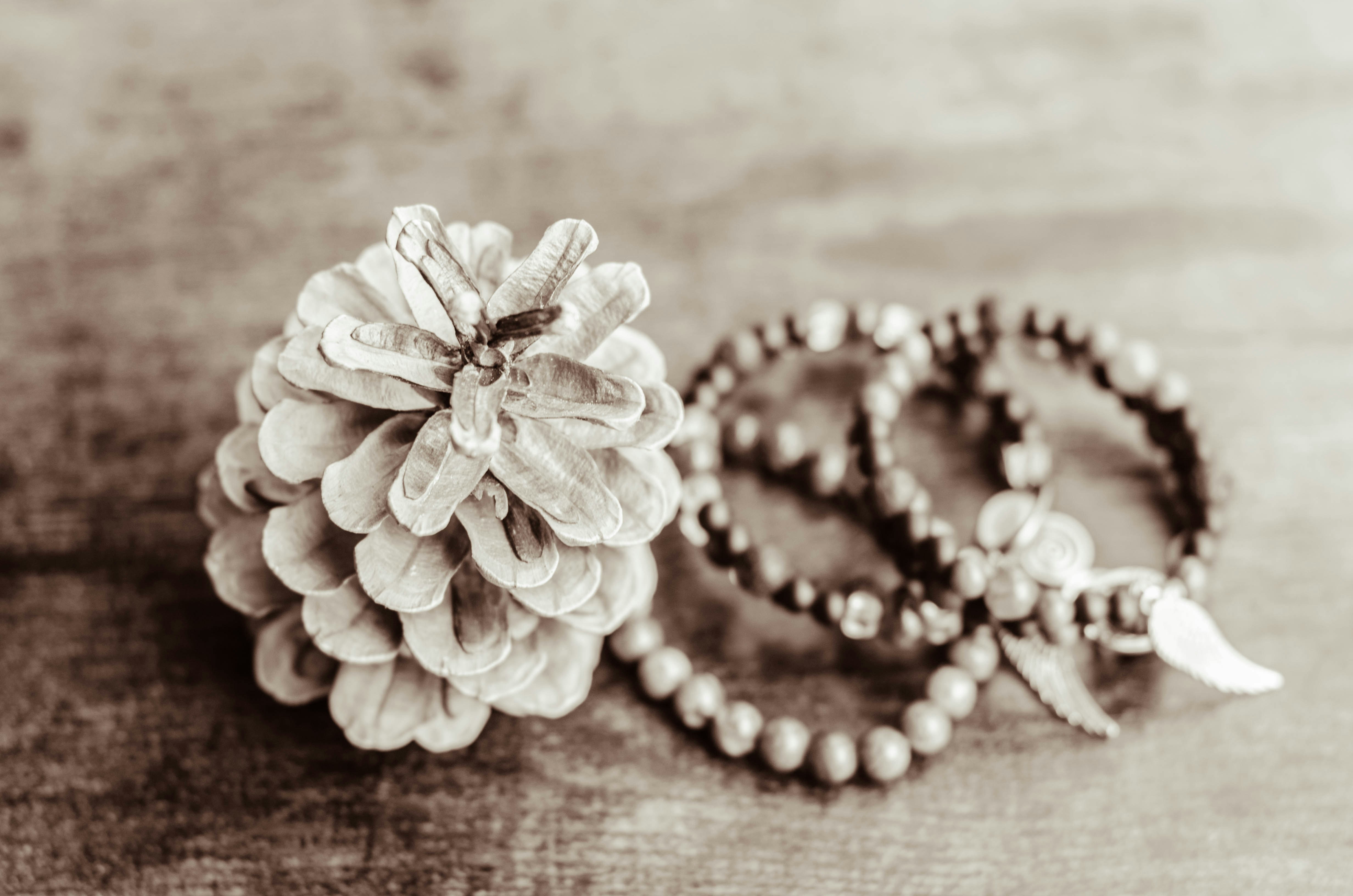 Nature's Elegance: A Pinecone's Companions