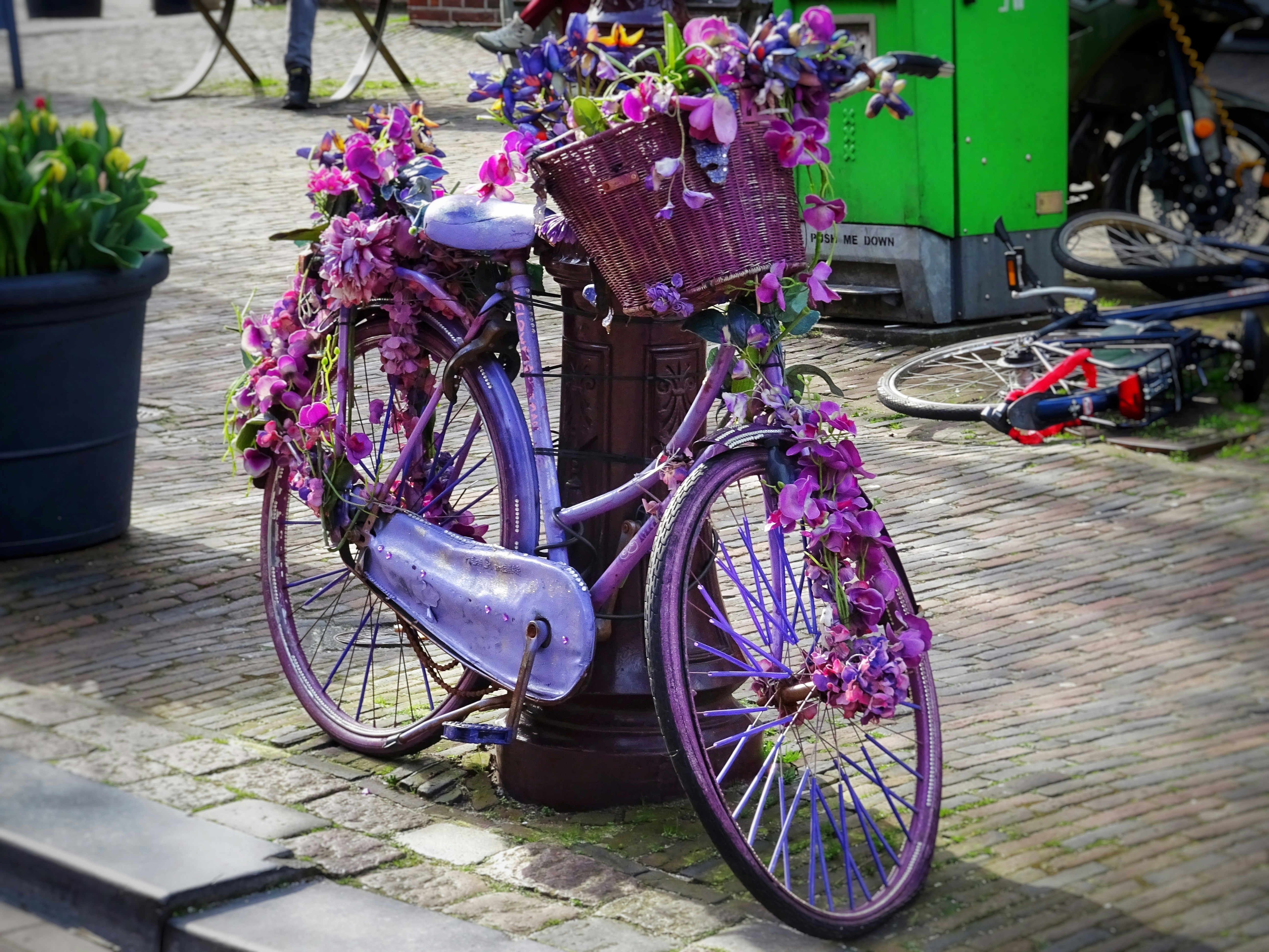 Photograph of a purple bicycle wrapped in flowers and baskets, parked on a cobblestone street. An urban vignette highlighting floral accents and vintage charm.