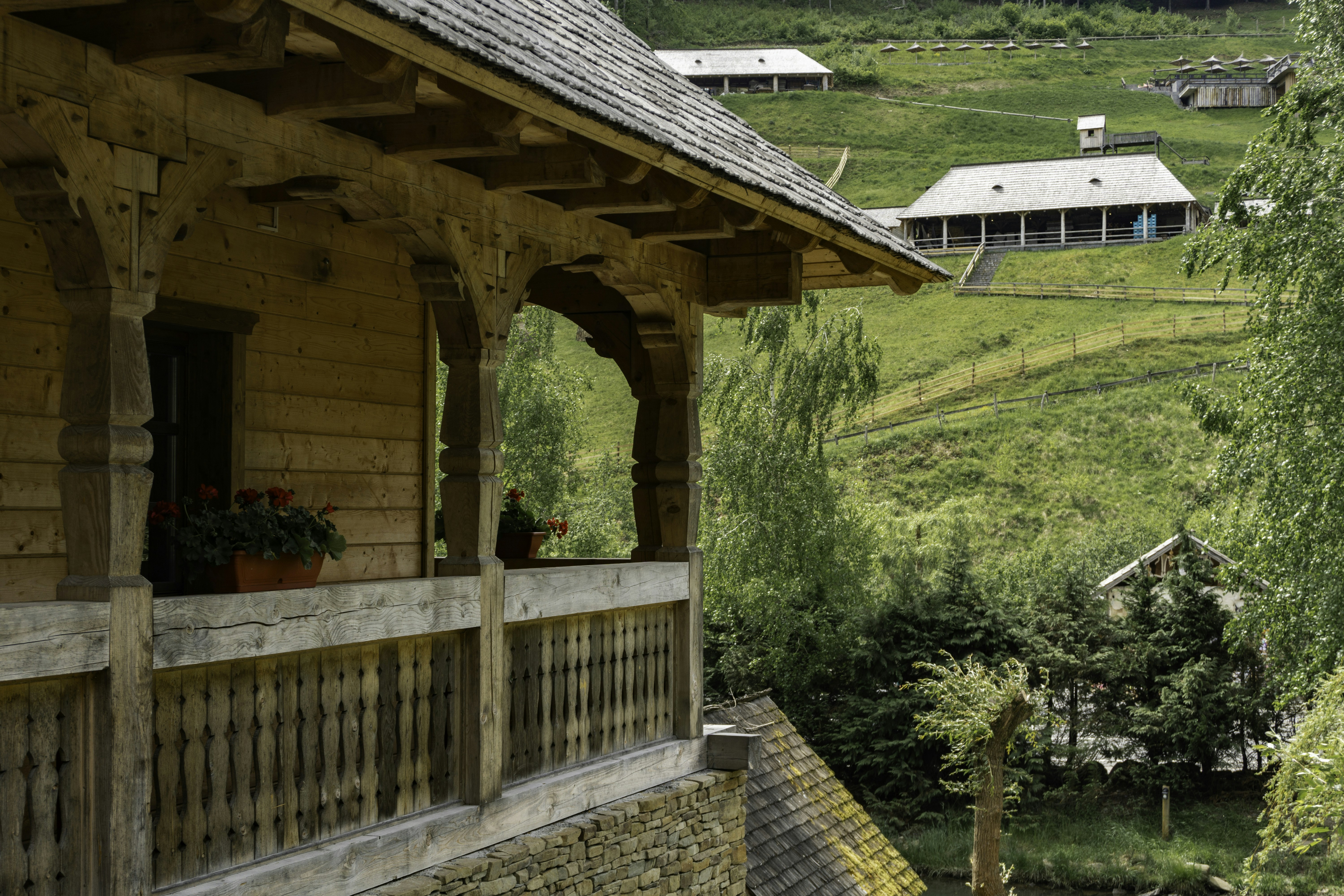 Photo by Lucut Razvan with Sony Alpha 6000